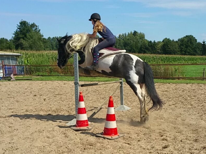 [TI] [FOTO]springende tinkers • Bokt.nl