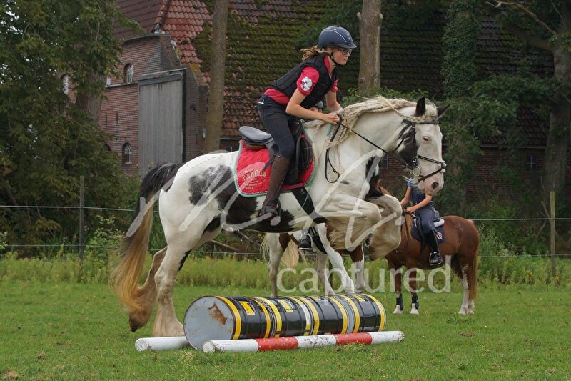 [TI] [FOTO]springende tinkers • Bokt.nl