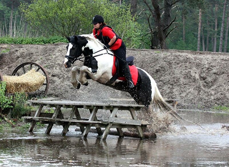 [TI] [FOTO]springende tinkers • Bokt.nl
