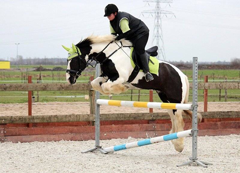 [TI] [FOTO]springende tinkers • Bokt.nl