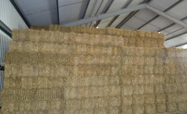 Stro balen, strooisel tarwe stofvrij | Bokt.nl