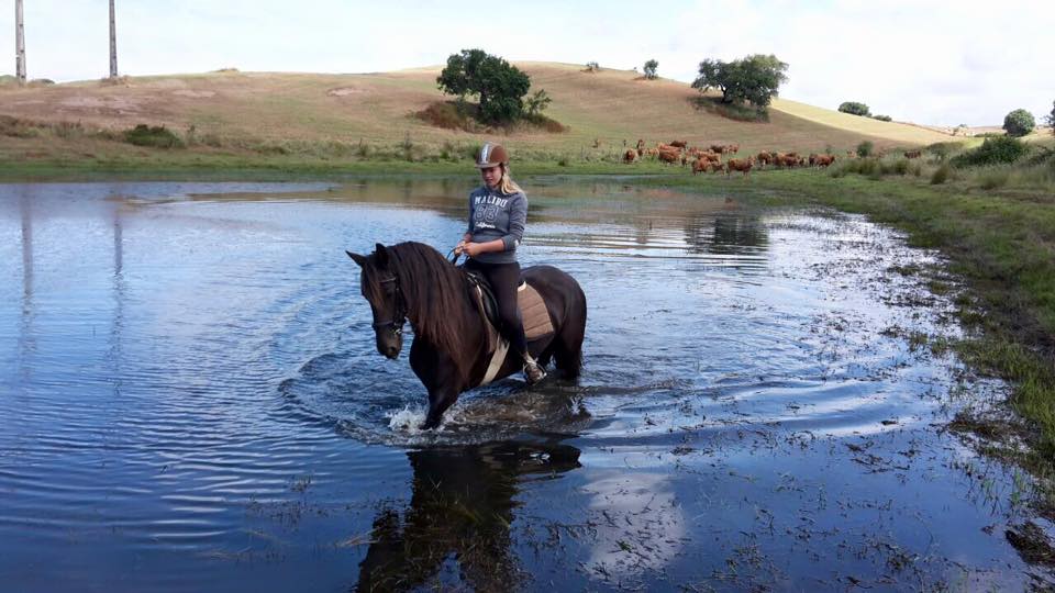 Stageplek 4-8 weken gezocht | Bokt.nl