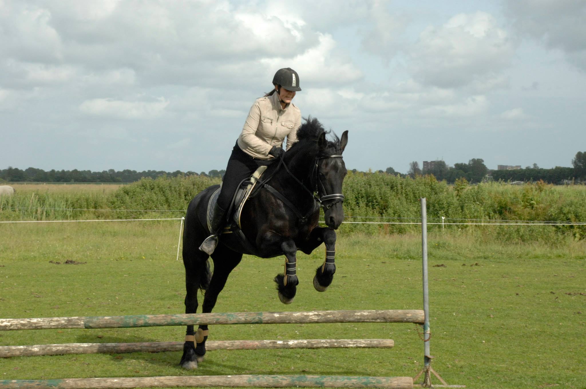 Gezocht! Verzorger voor Fries paard in Schoorl! | Bokt.nl