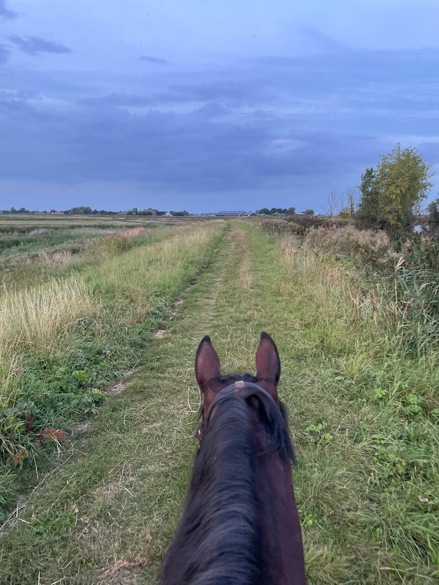 Gezellige pensionstal Dirkshorn | Bokt.nl