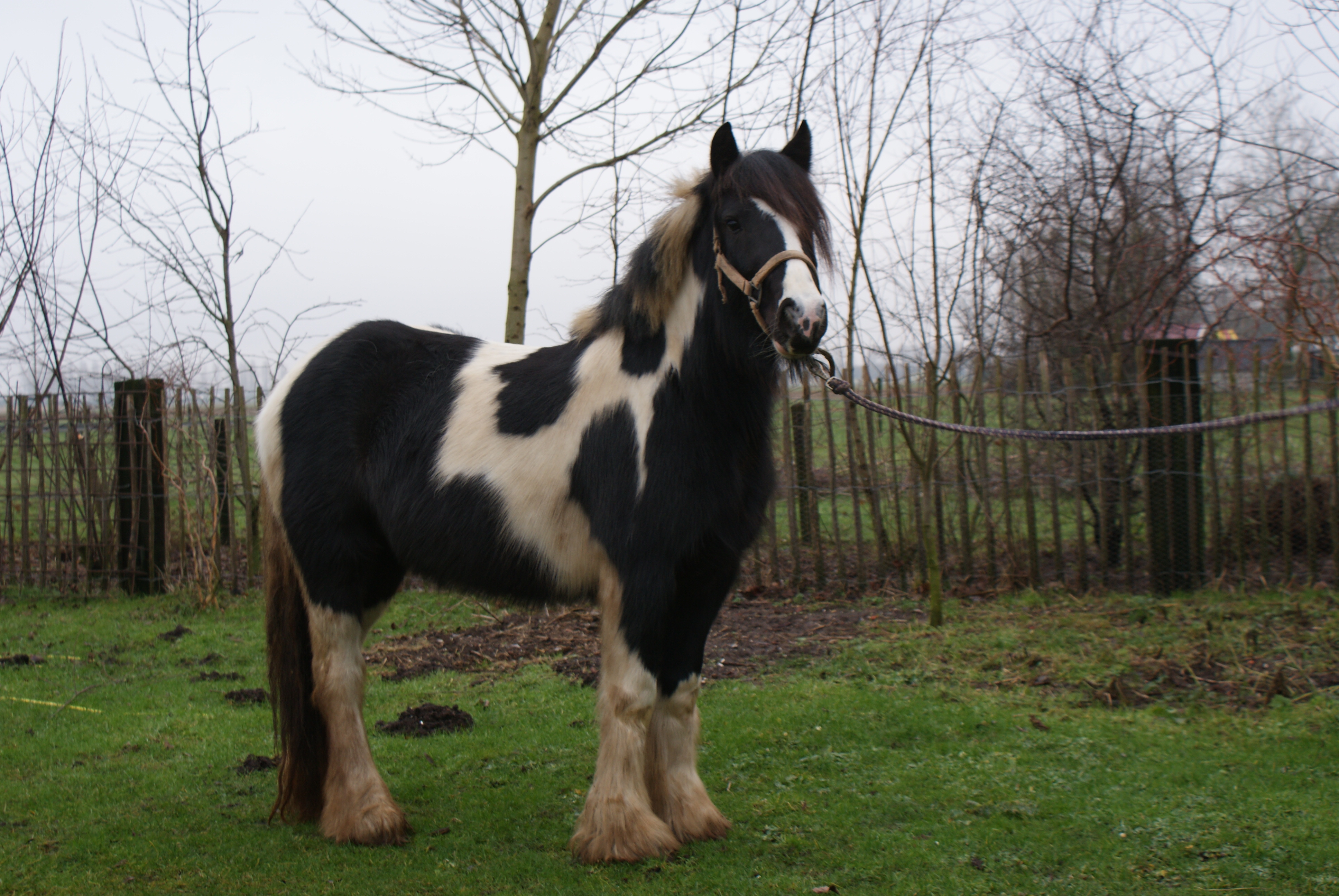 Goed thuis voor onze mini tinker Noreen | Bokt.nl