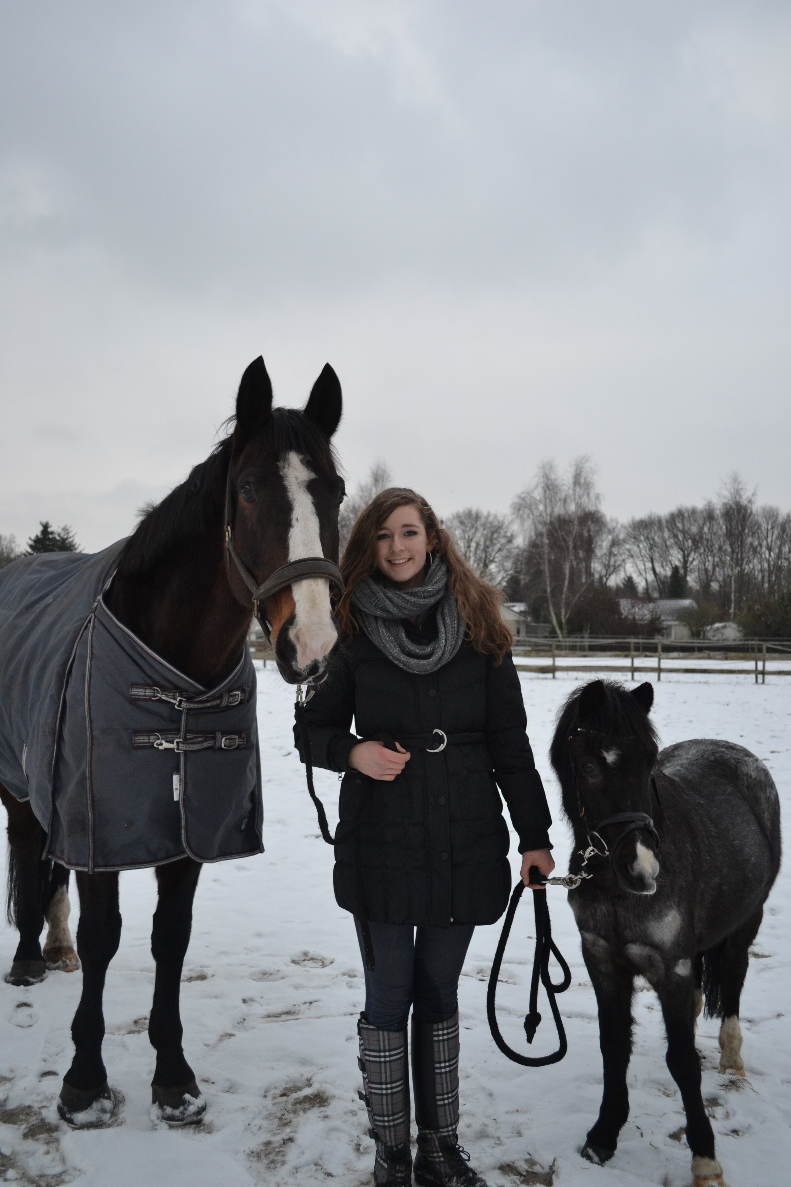 Pony en Paard + model voor fotoshoot aangeboden | Bokt.nl