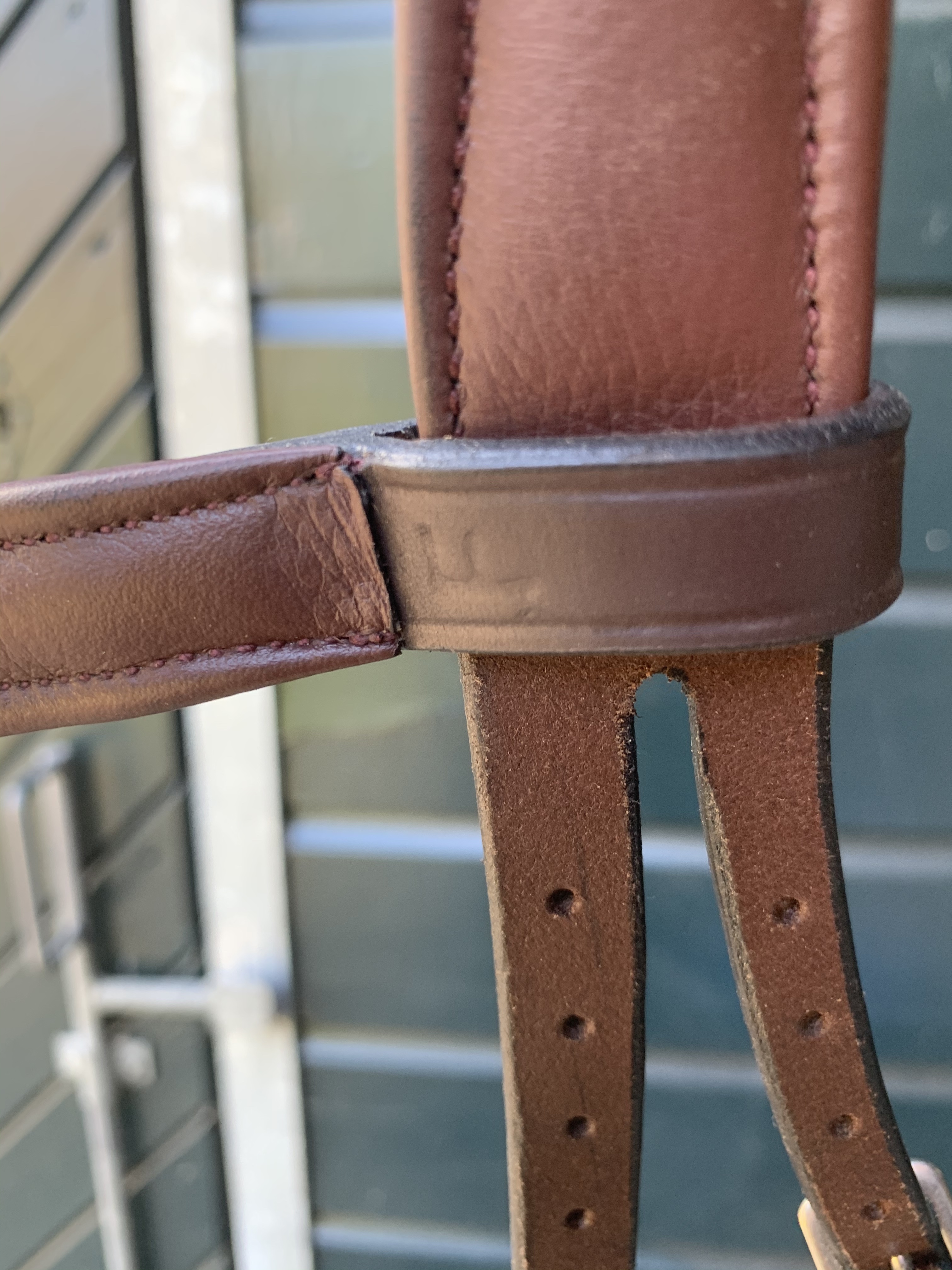 Dyon hackamore hoofdstel met S-hack | Bokt.nl