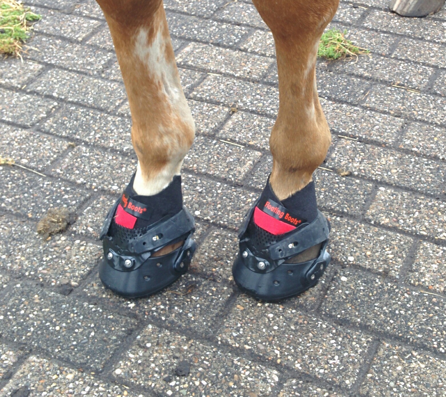 Floating boots P2 (hoefschoenen) | Bokt.nl