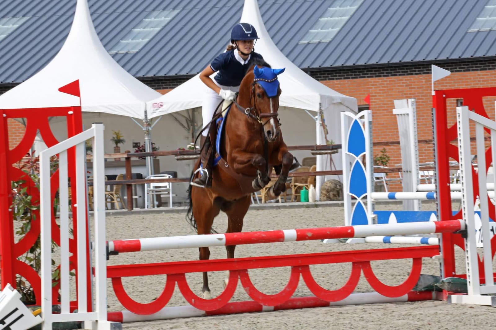 goede mooie sport spring pony | Bokt.nl