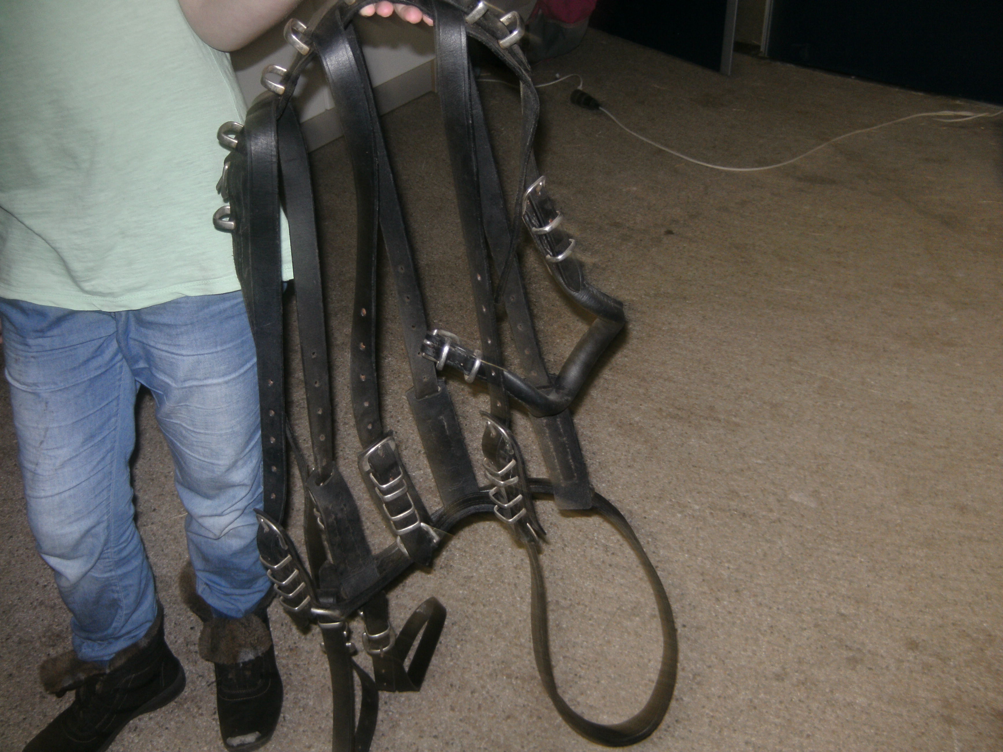 Compleet tuig | Bokt.nl