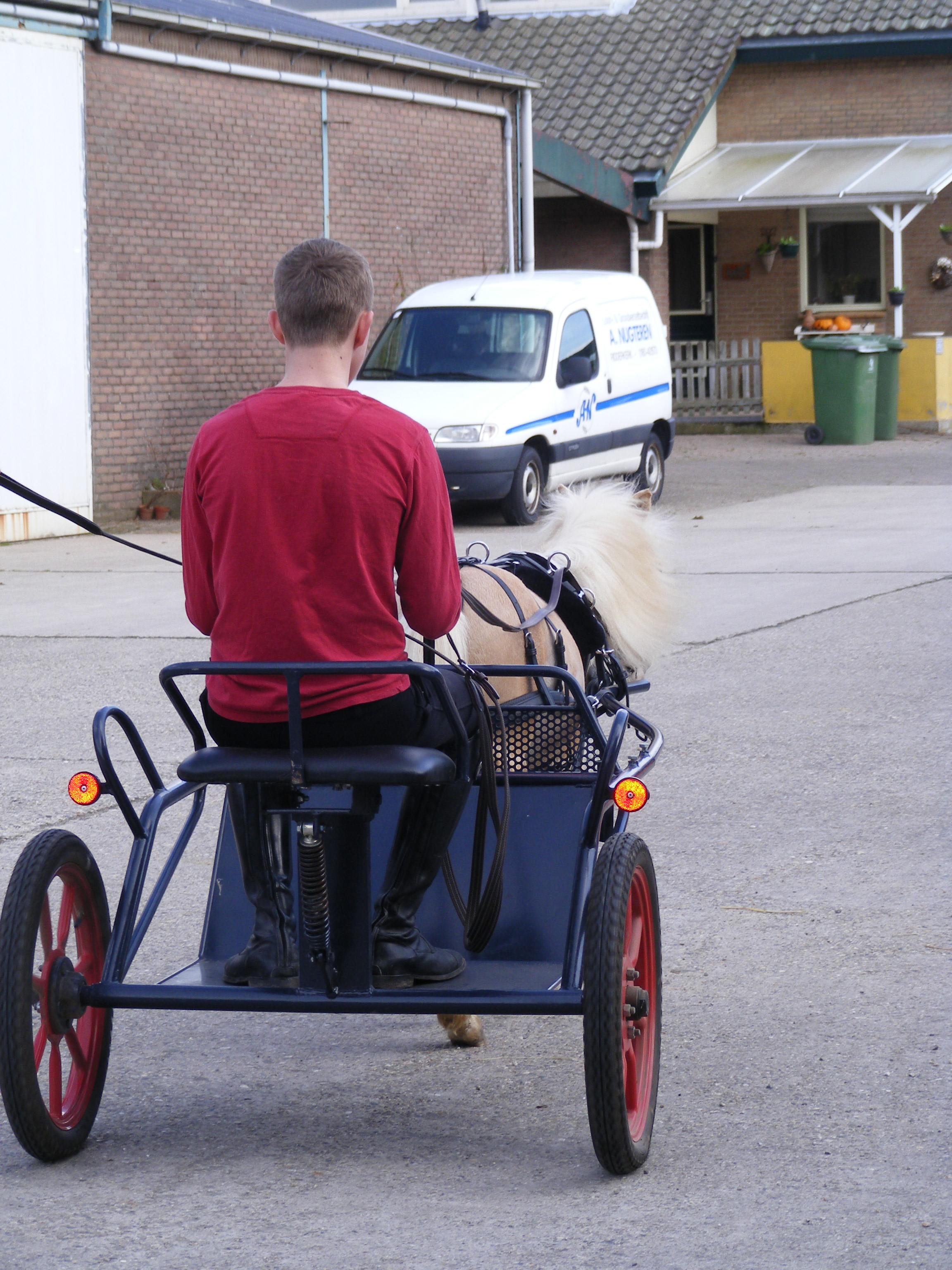 kwaliteits sulky voor de mini shet,shetlander, of mini paard | Bokt.nl