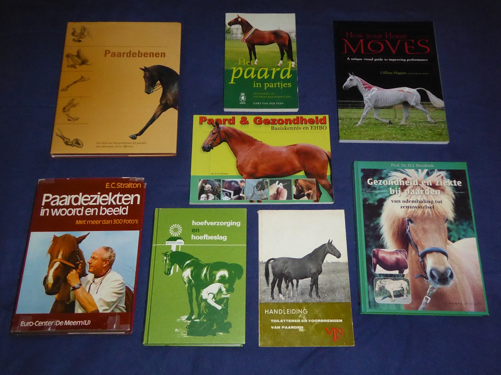 Diverse paardenboeken +/- 75 stuks, magazines & leesboeken | Bokt.nl