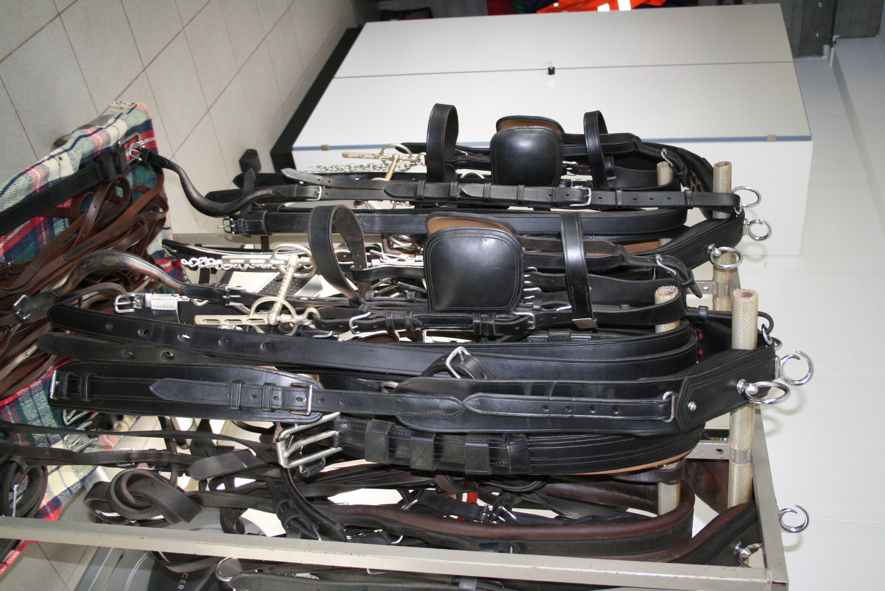 Van der Wiel enkelspan, 2 span en tandemtuig | Bokt.nl