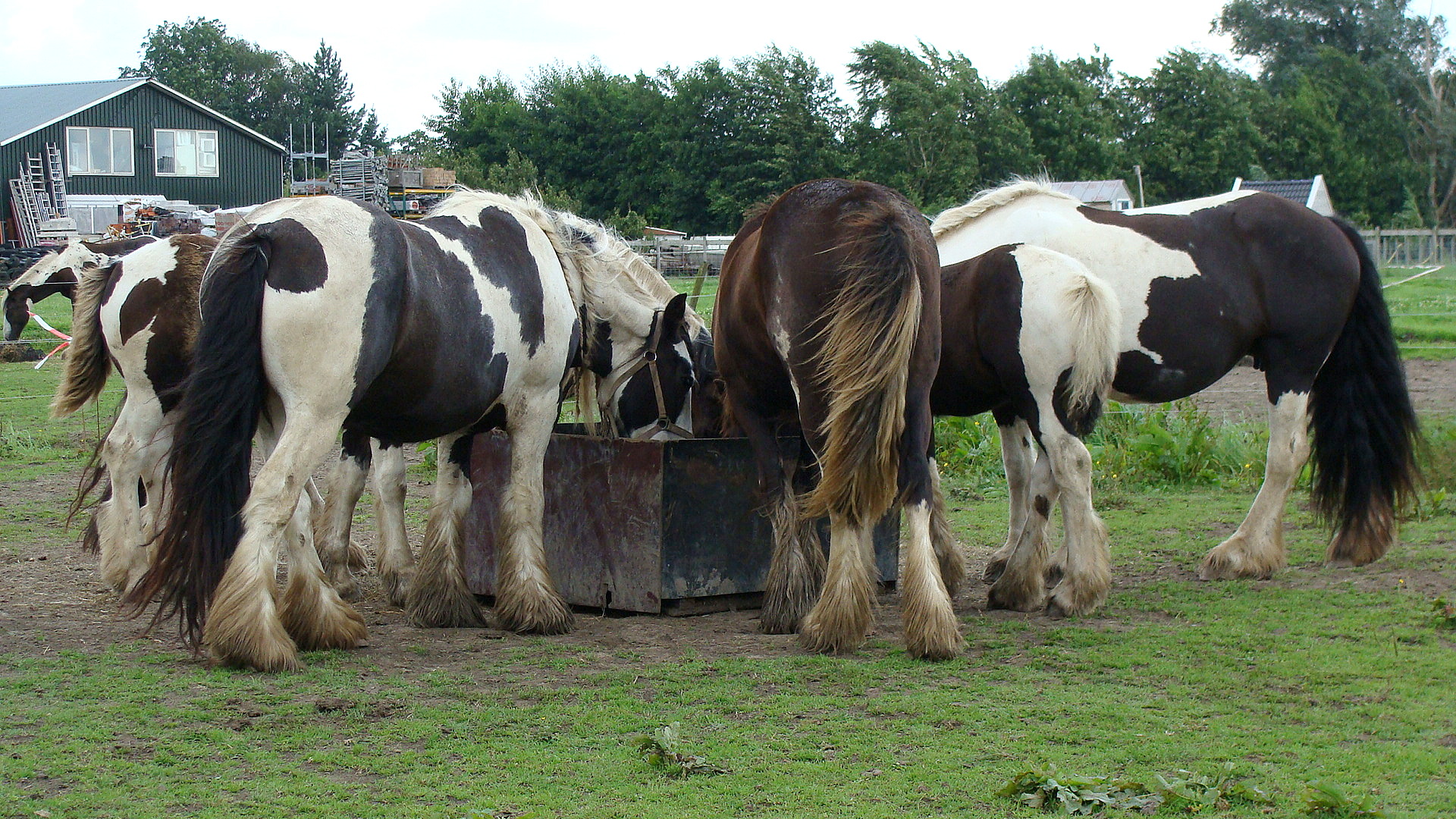 Diverse tinkers te koop | Bokt.nl
