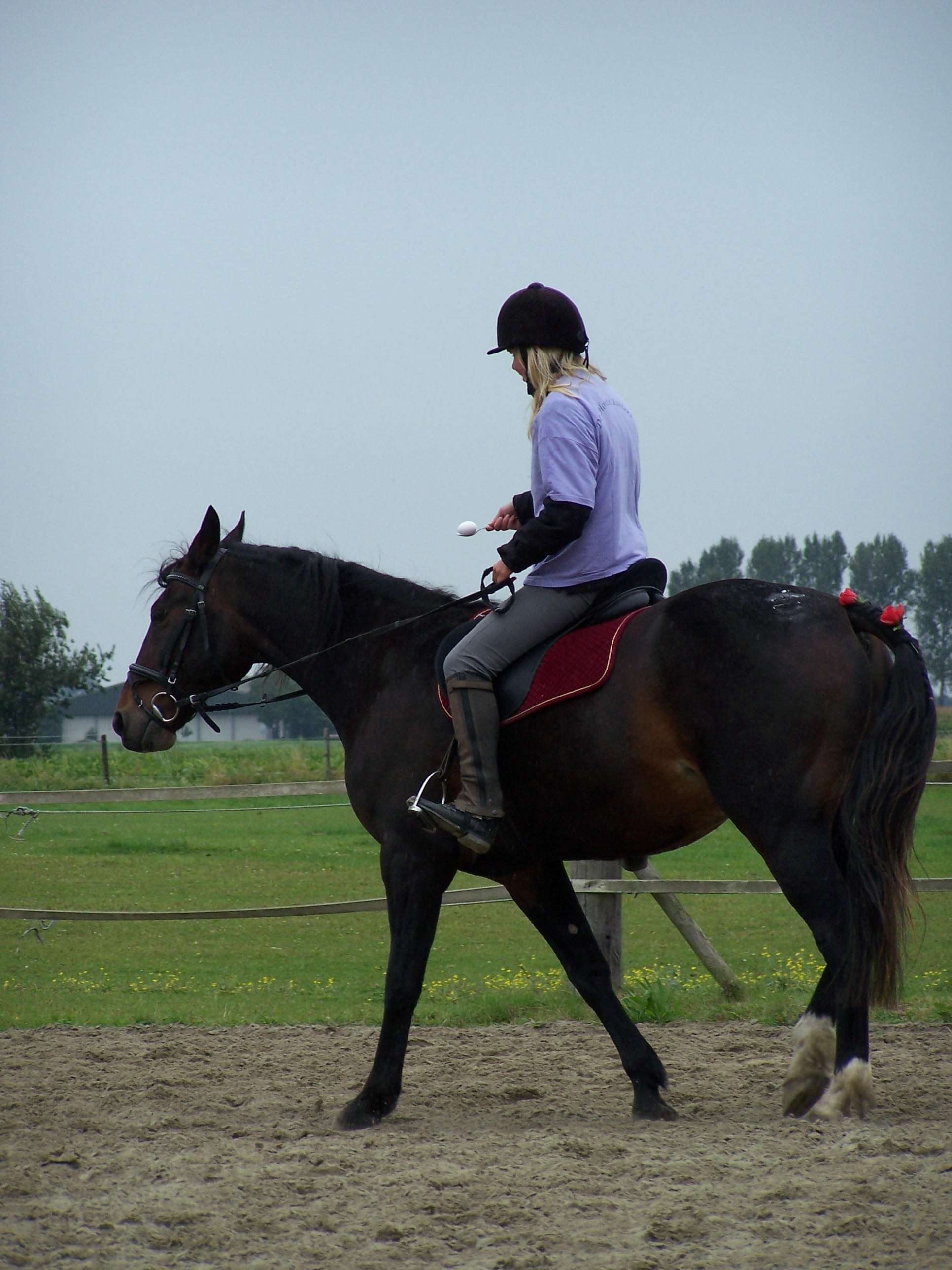 Franse Draver ruin | Bokt.nl