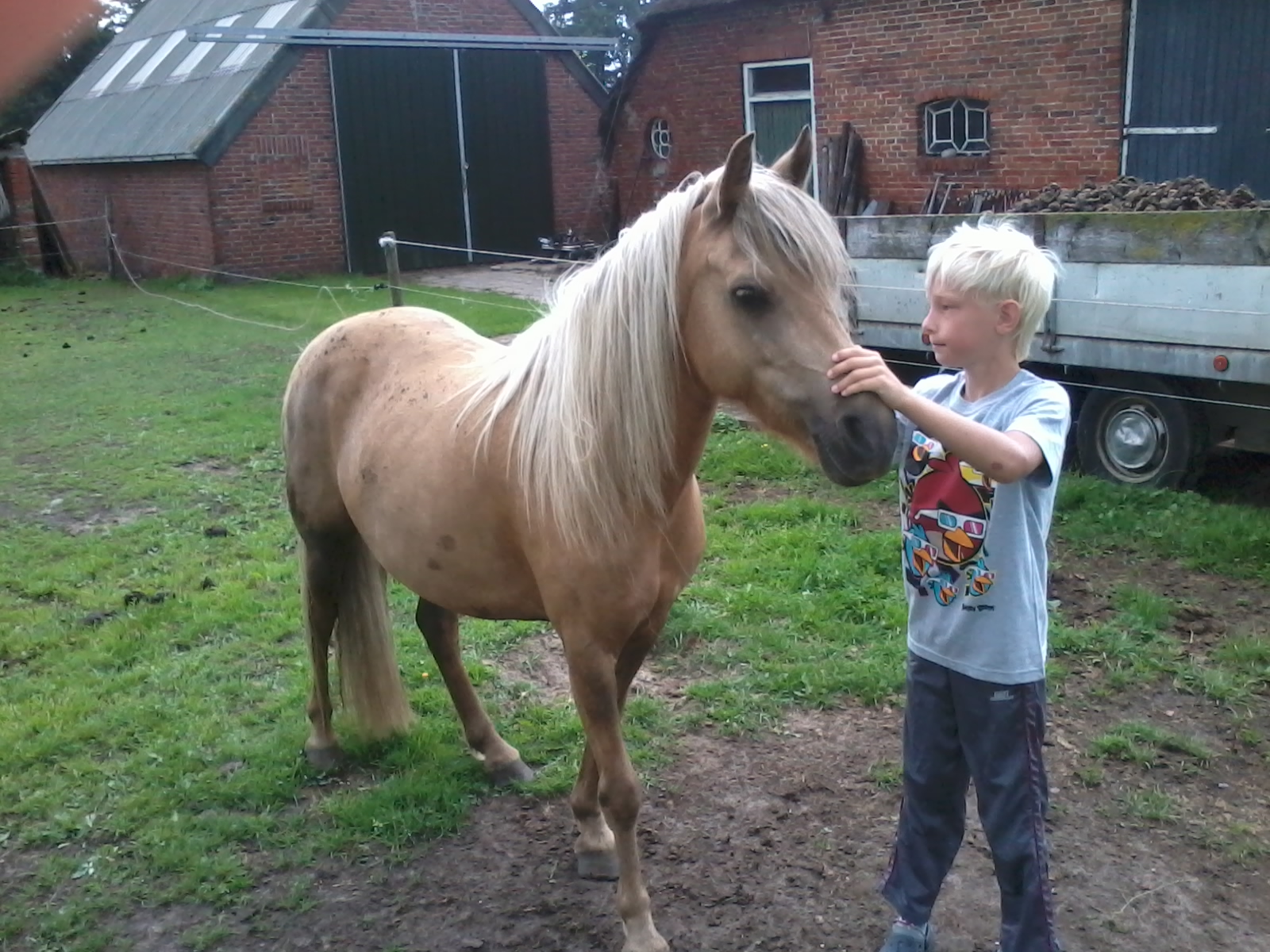 aangeboden makke kinder pony | Bokt.nl
