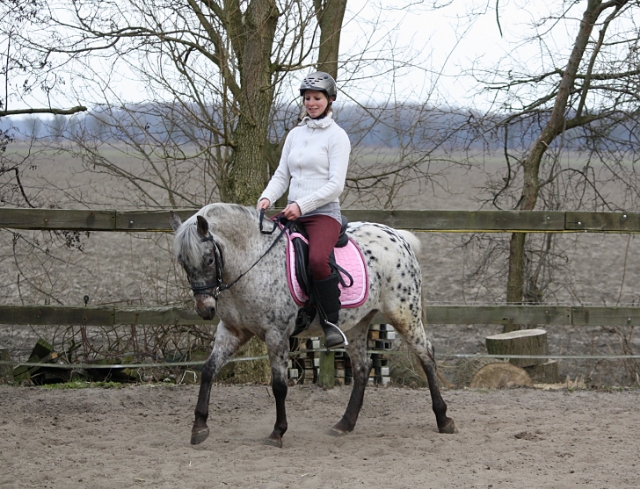 Prachtige grote C pony voor bruikleen aangeboden | Bokt.nl Prachtige grote C pony voor bruikleen aangeboden | Bokt.nl