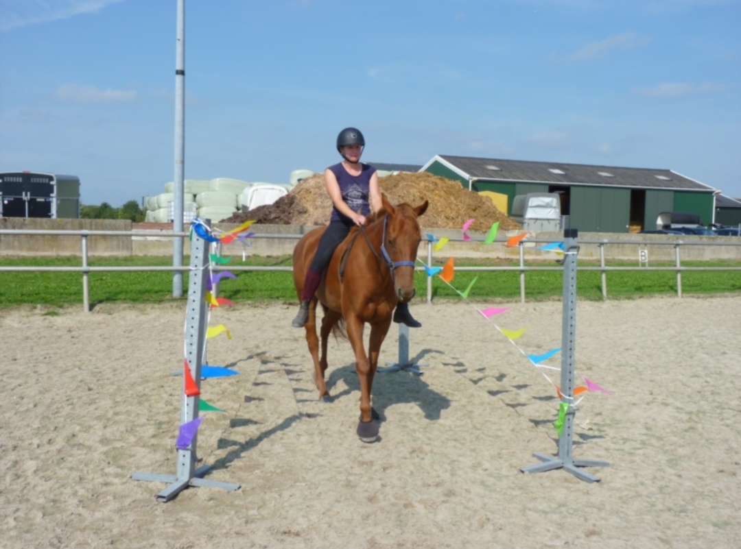 Lieve vos merrie | Bokt.nl