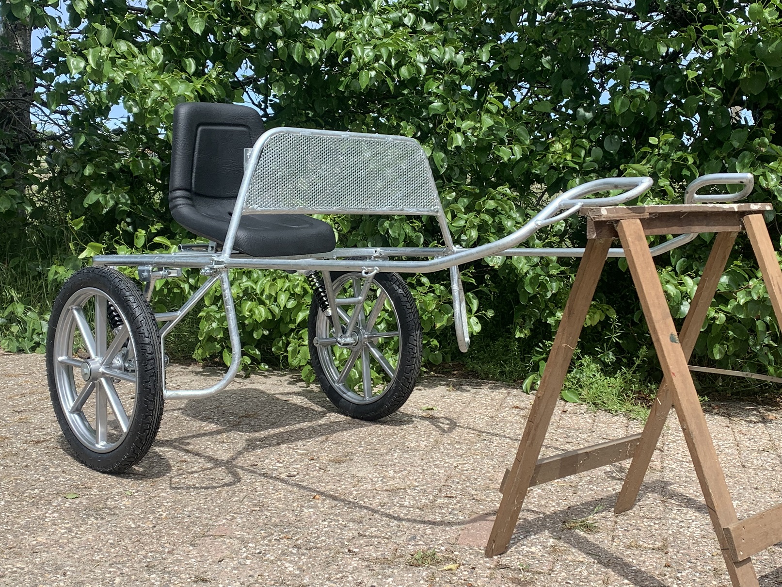 sport buggy/sulky voor mini paardjes | Bokt.nl