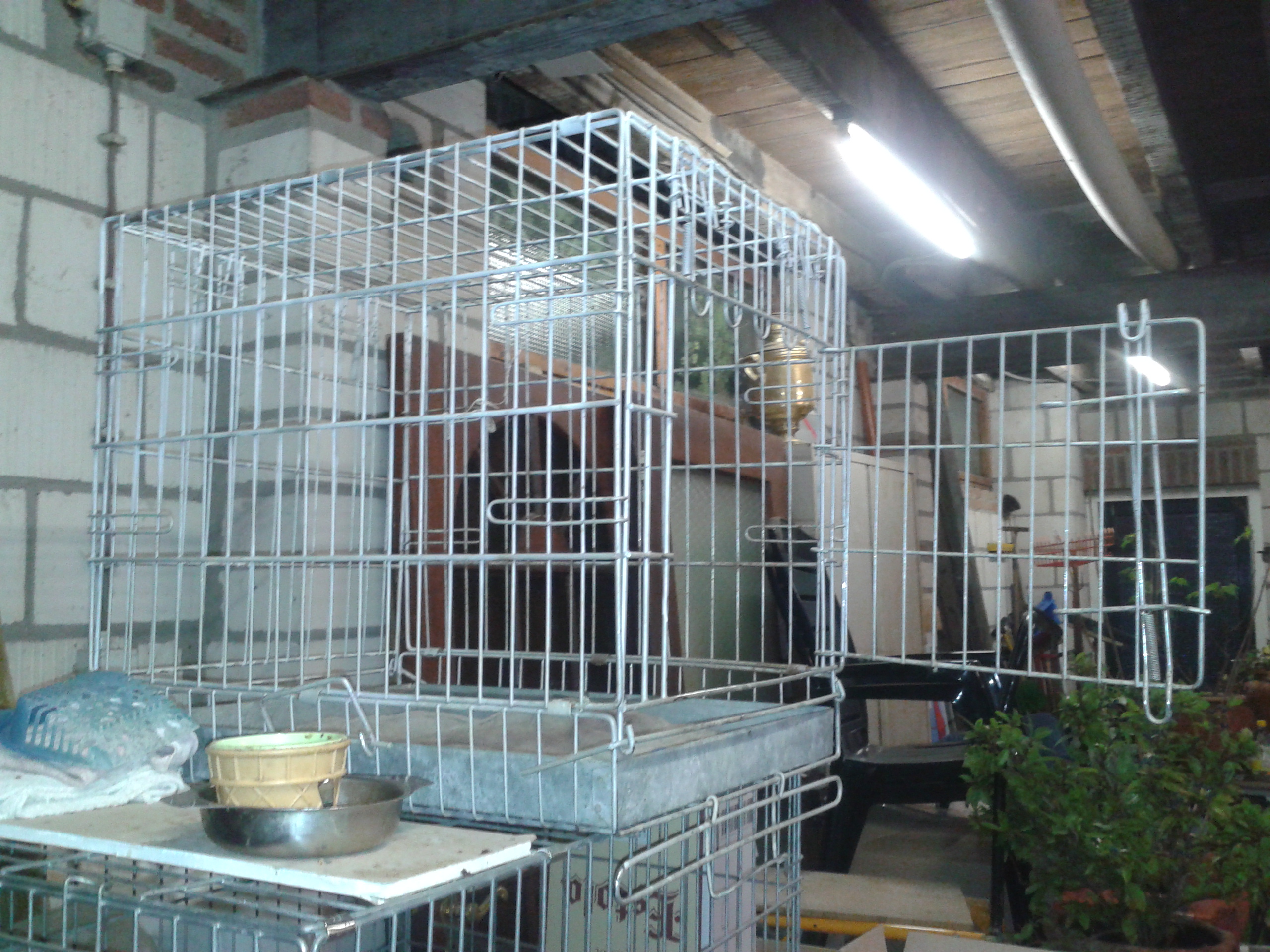 Hond of katten bench te koop. 10euro | Bokt.nl