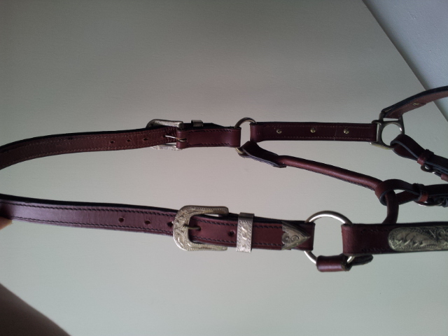 western show halster met lead line | Bokt.nl