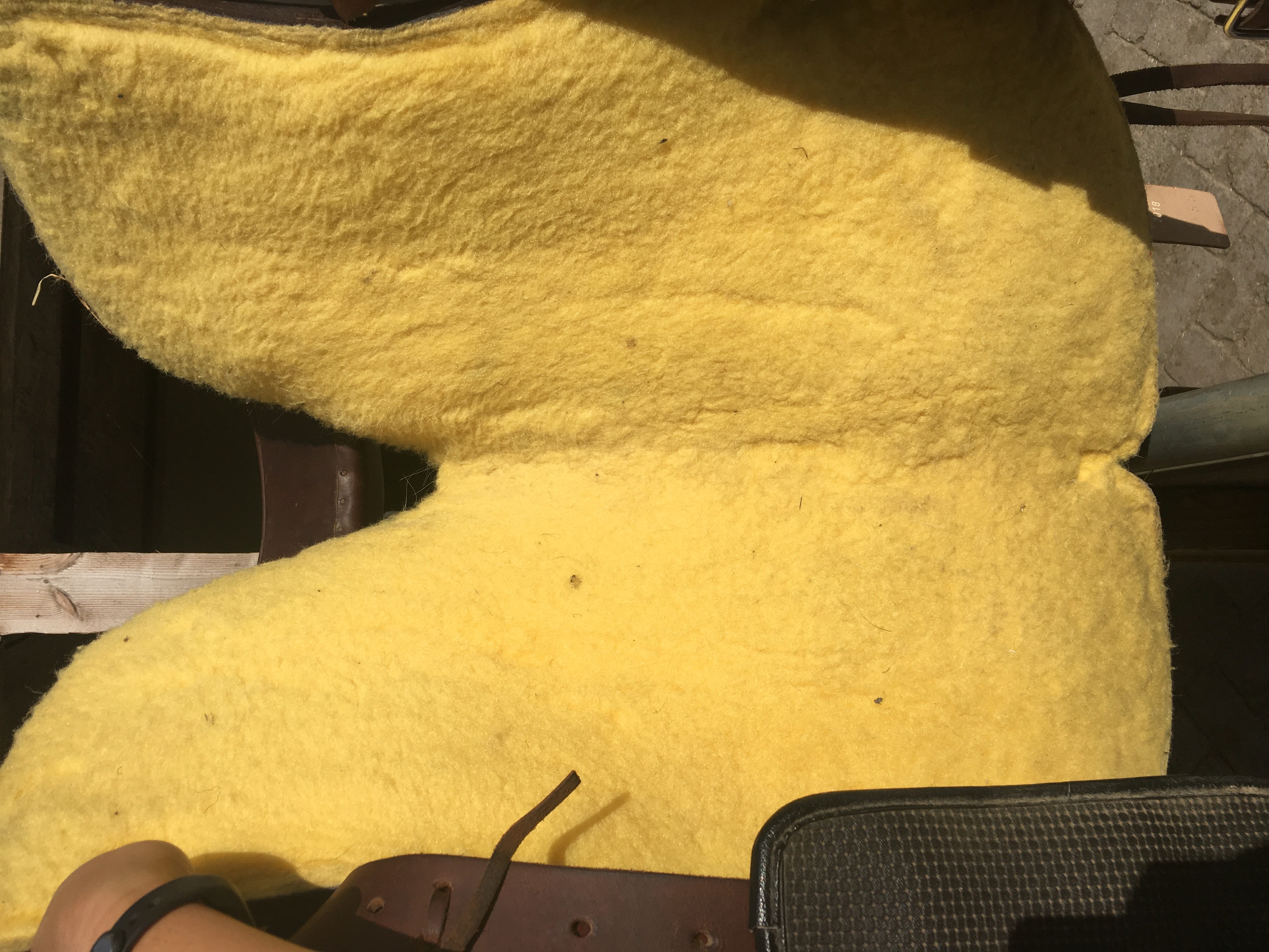 Freemax Western Buffel Short - complete set! | Bokt.nl