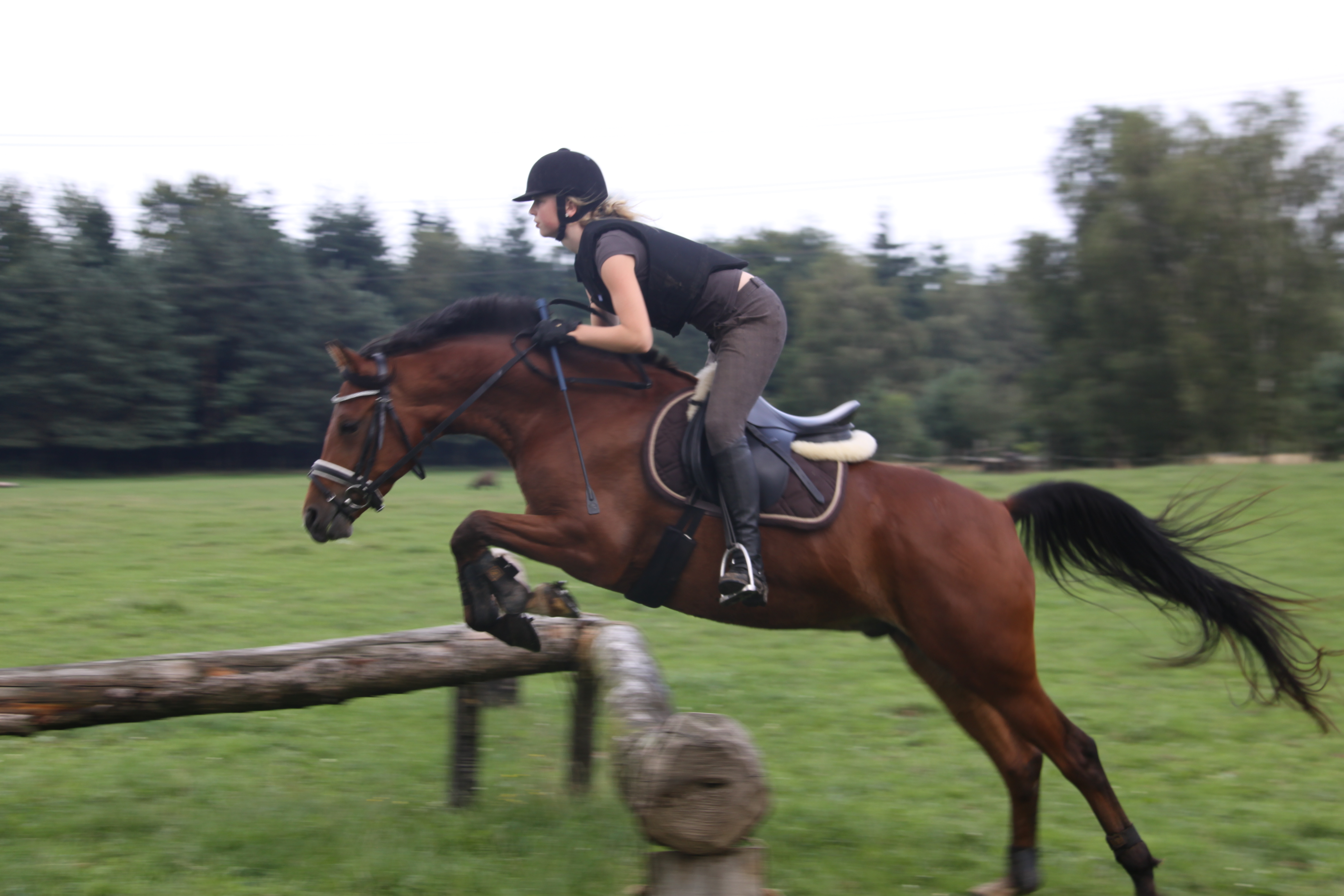 Allround sport d-pony | Bokt.nl
