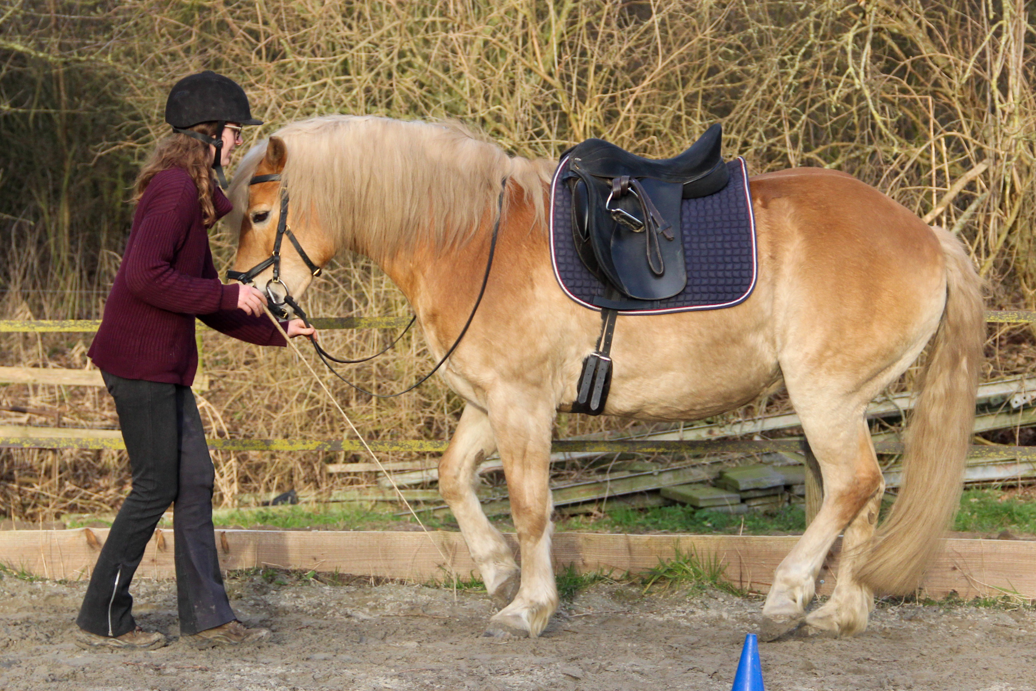 Klassieke Dressuur & Houding en Zit lessen | Bokt.nl
