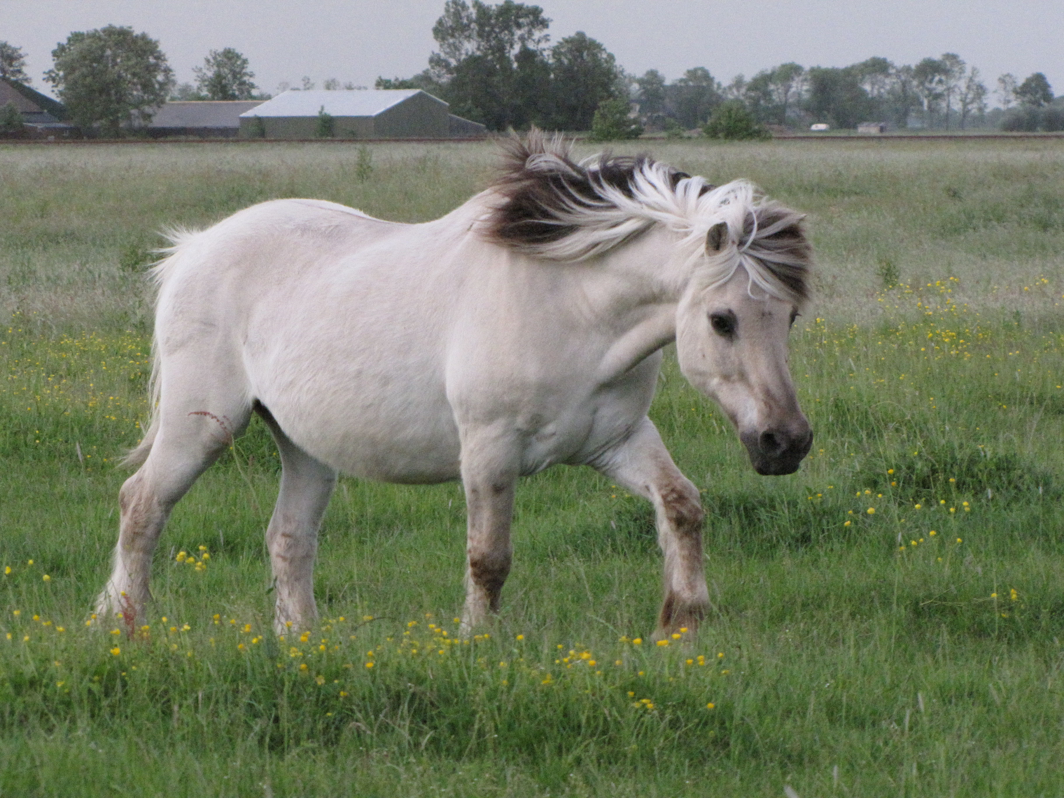 Super goed thuis gezocht voor Gra Fjord ruin * Gratis | Bokt.nl