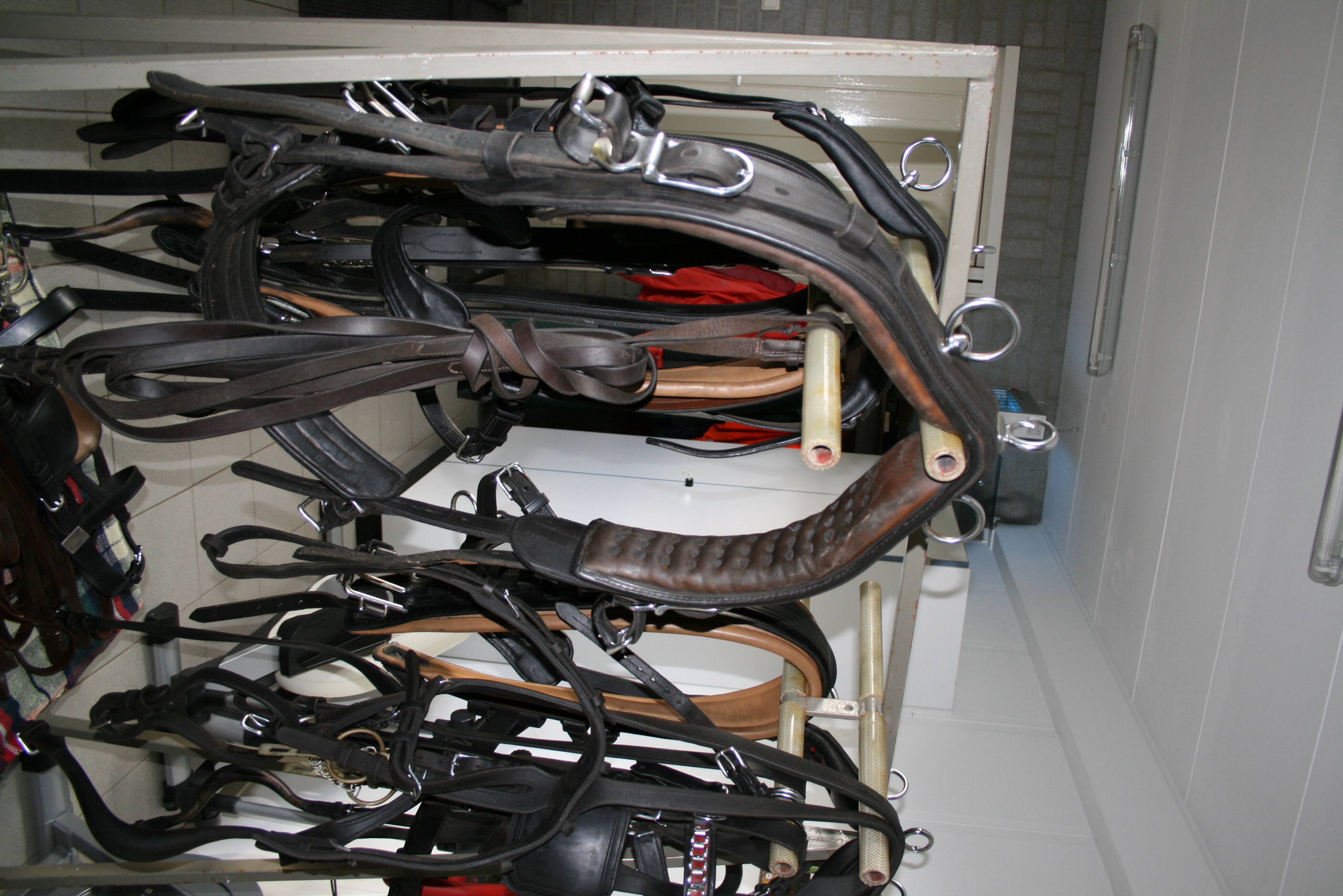 Van der Wiel enkelspan, 2 span en tandemtuig | Bokt.nl