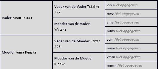 Friese jaarling merrie (Feitse 293 X Maurus 441) | Bokt.nl