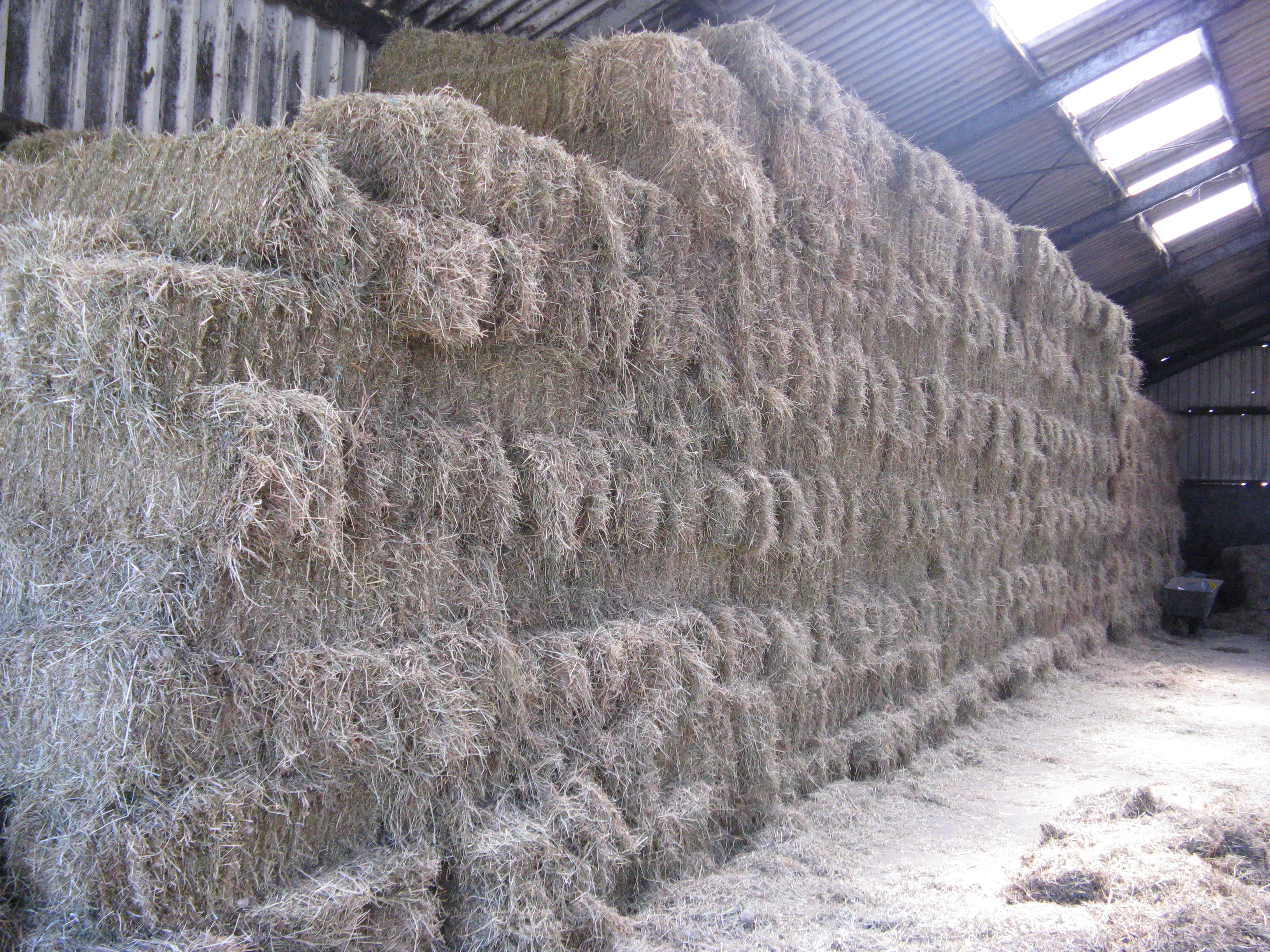 Topkwaliteit hooi en stro te koop | Bokt.nl