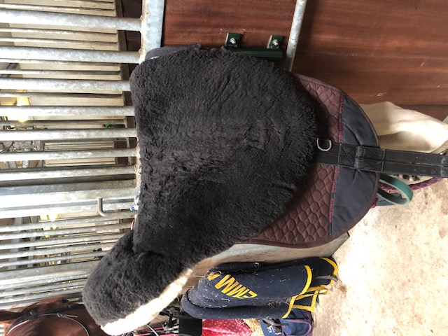 Christ Bareback pad compleet met dekje en singel | Bokt.nl