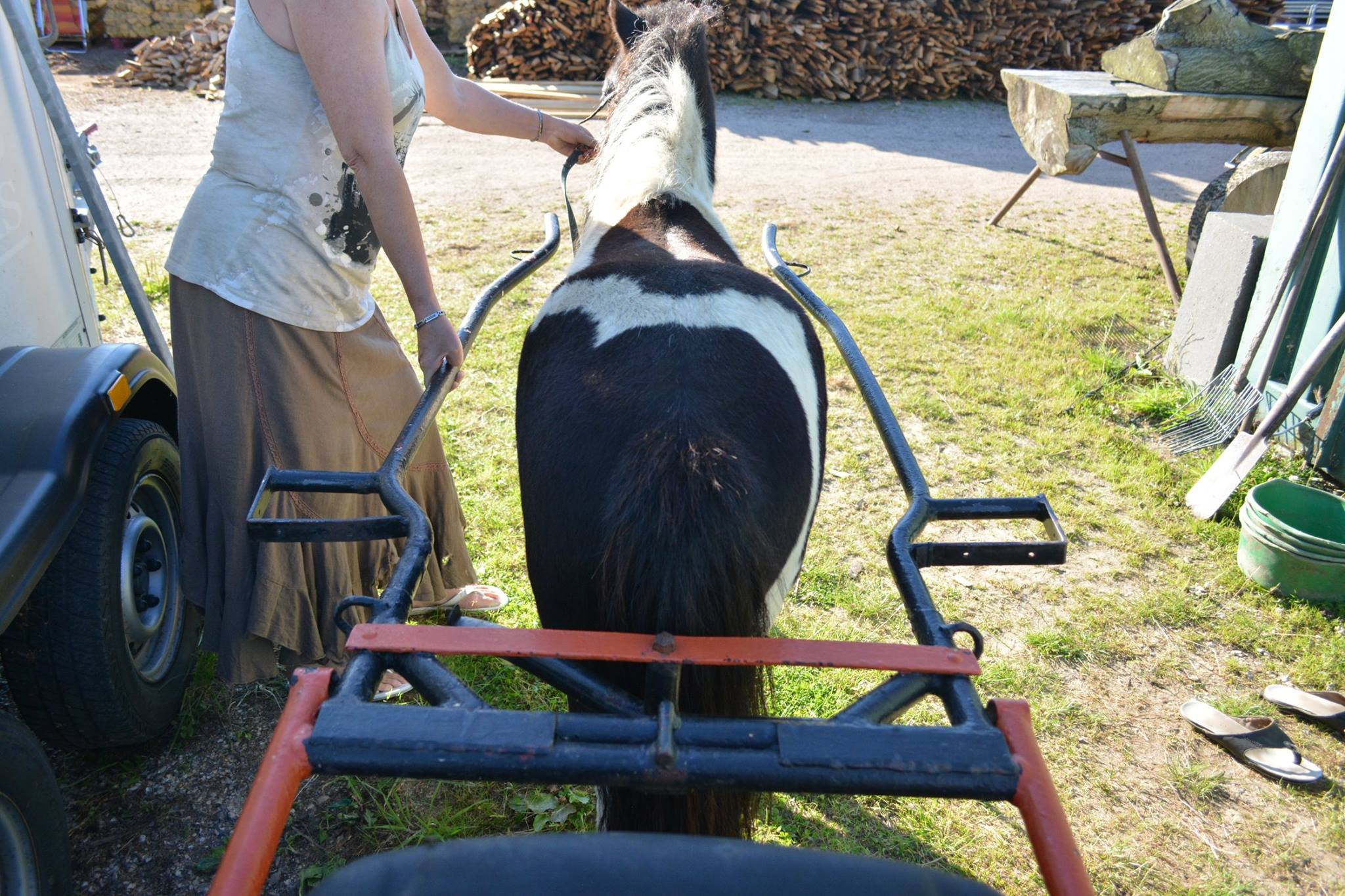 Sulky + tuig (mini shet / grotere europees miniature paard) | Bokt.nl