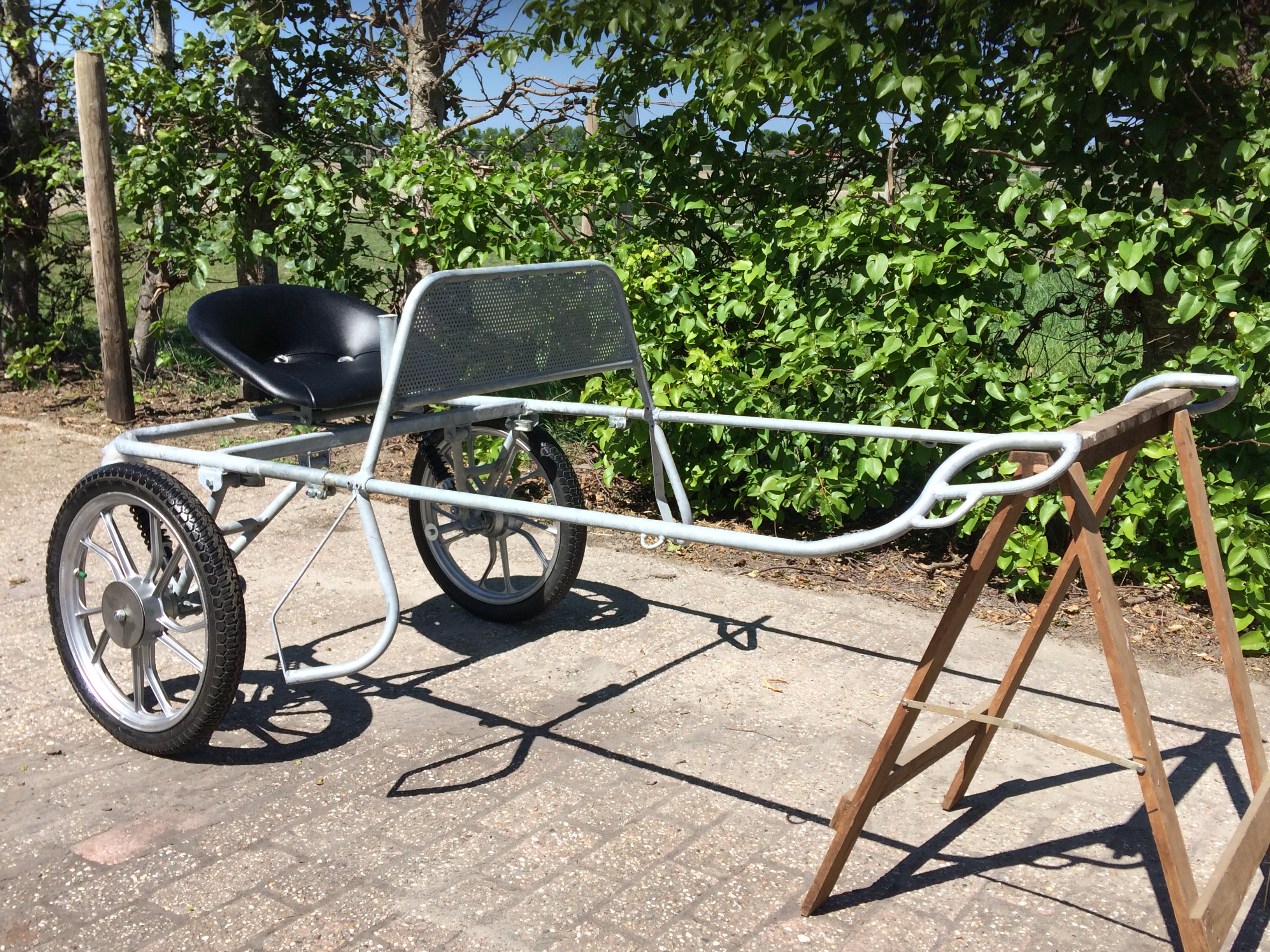 sulky voor minipaardjes/ Shetlander/ kleine pony s | Bokt.nl