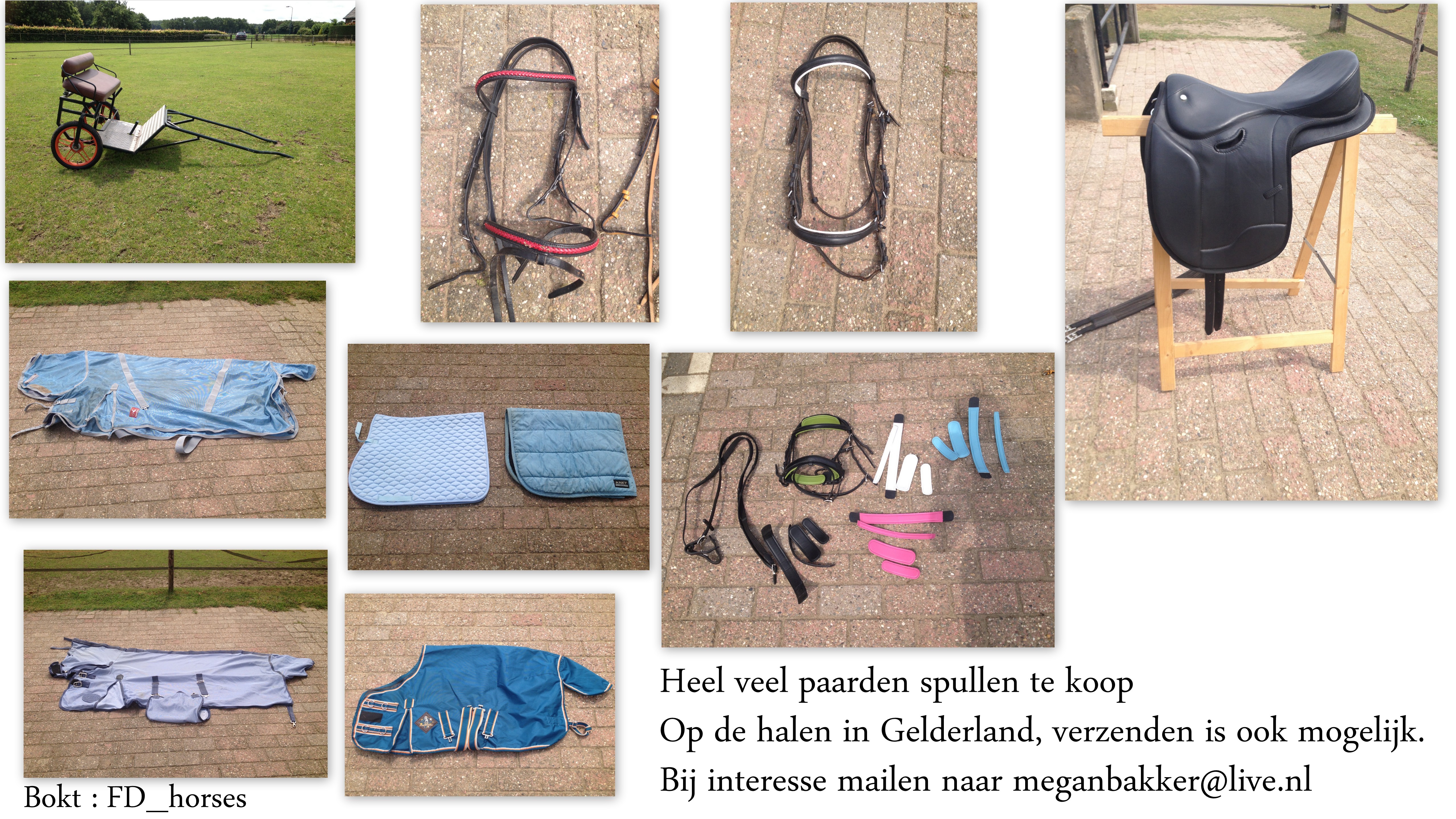 HEEL VEEL PAARDEN SPULLEN TE KOOP VOOR EEN LEUKE PRIJS! | Bokt.nl