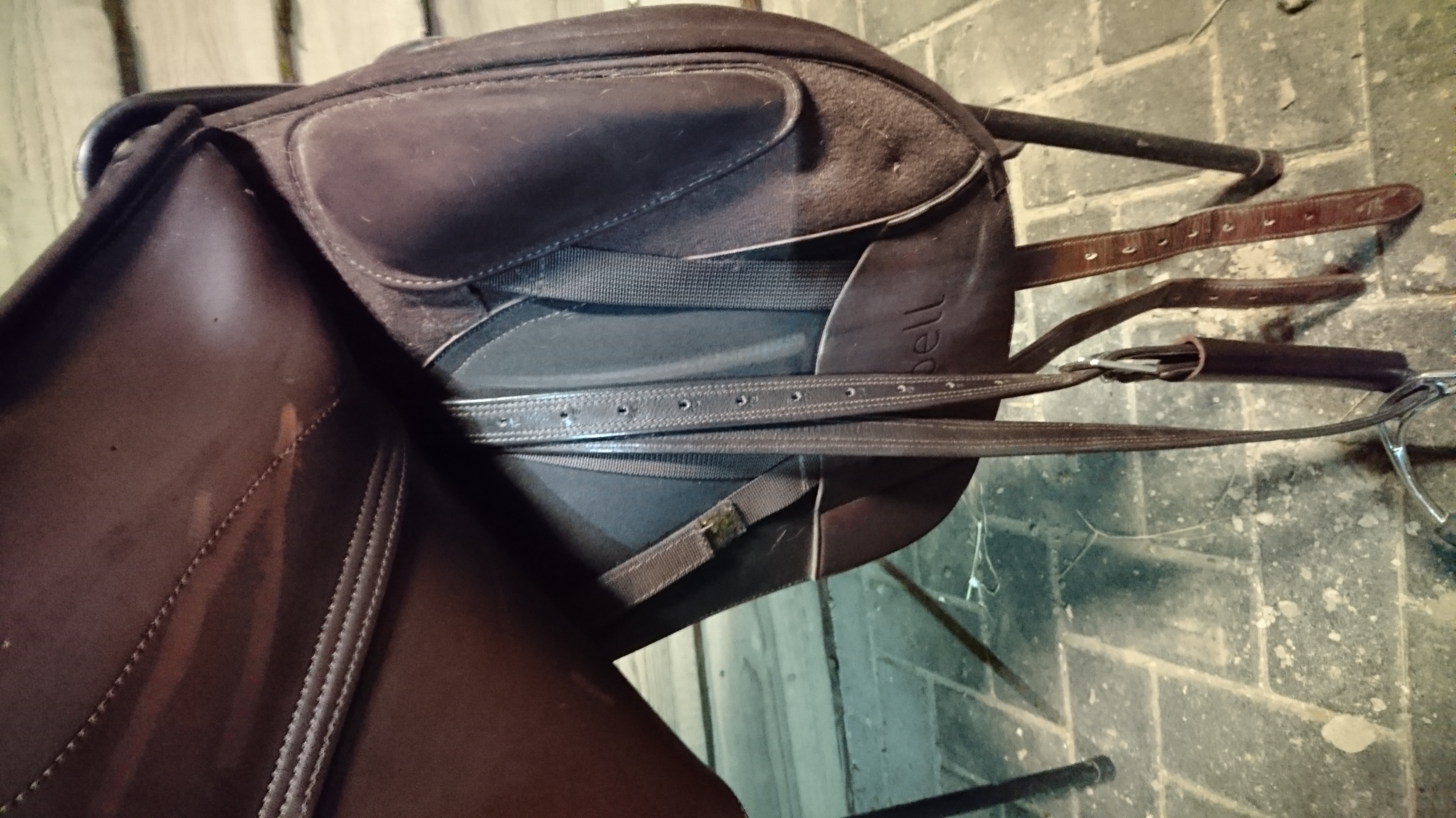 Wintec Isabell Werth bruin | Bokt.nl