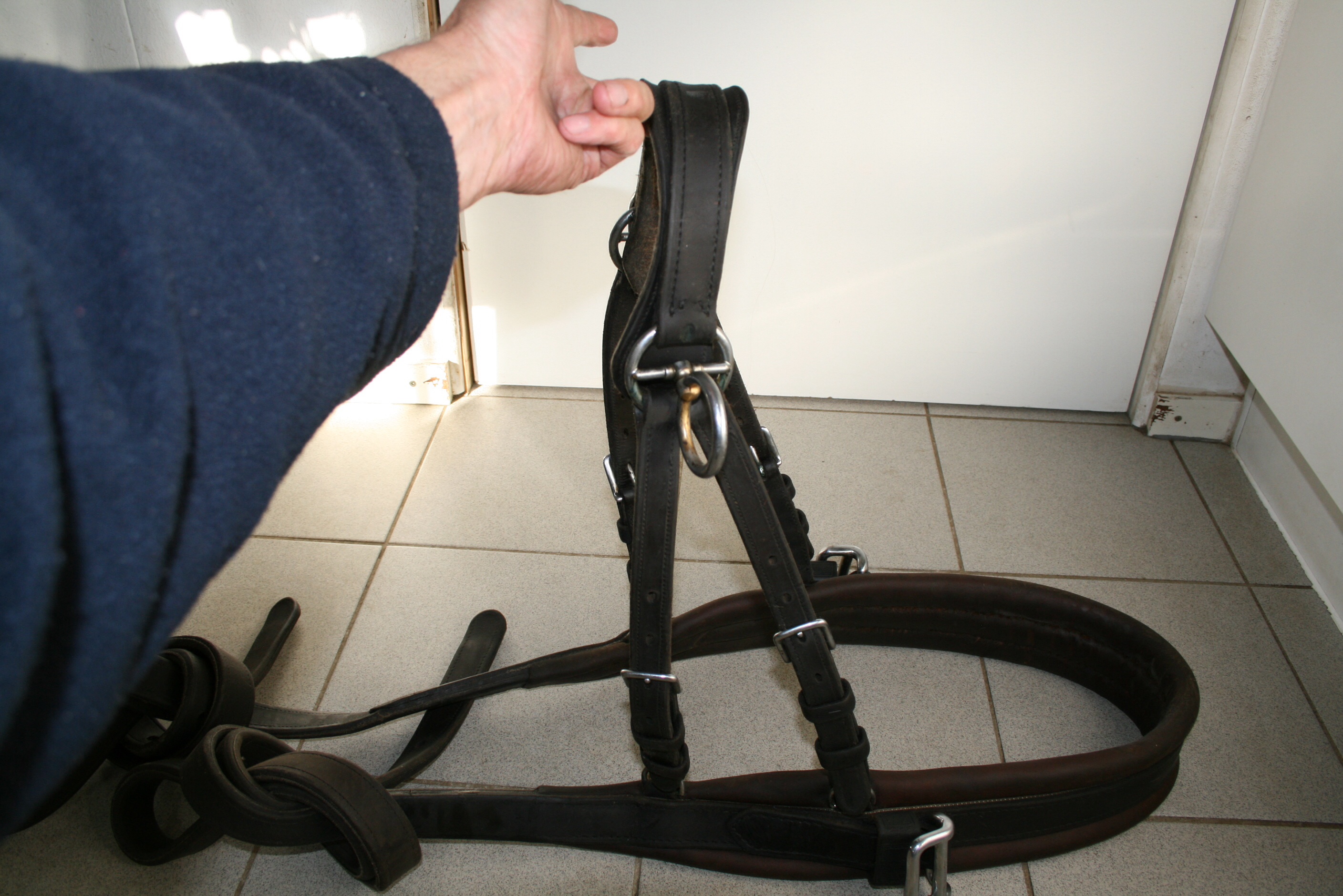 Van der Wiel enkelspan, 2 span en tandemtuig | Bokt.nl