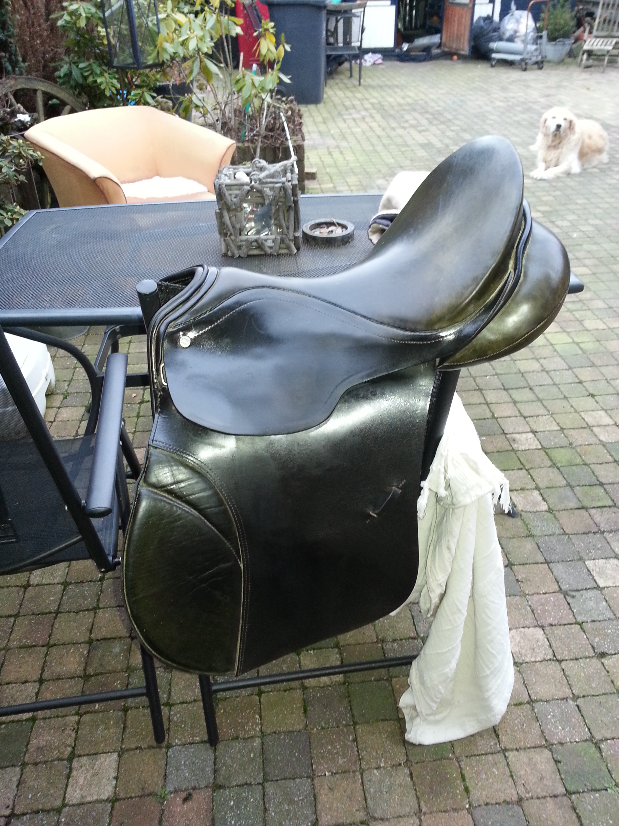 Wegens beindiging merovech alarik | Bokt.nl