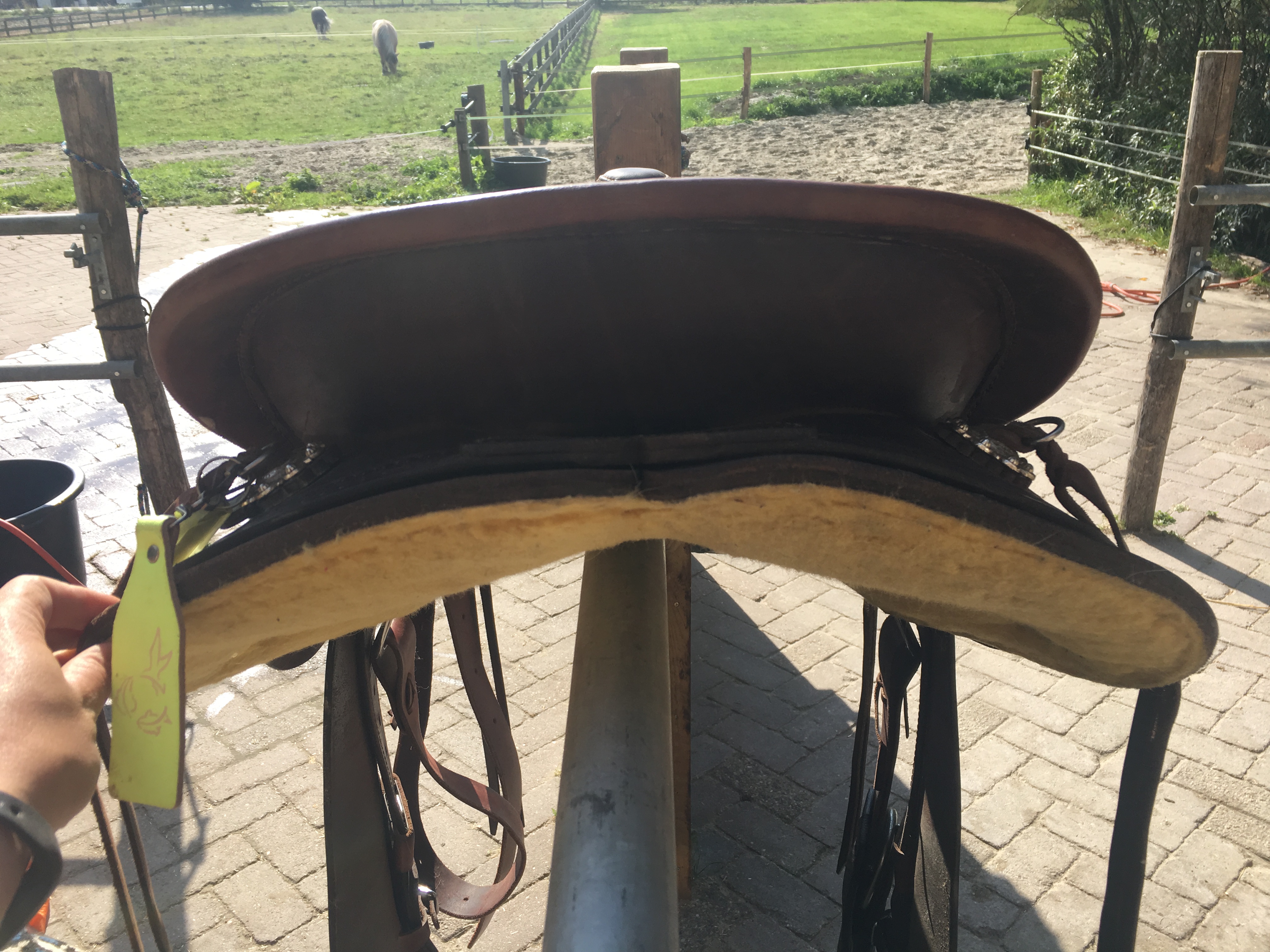 Freemax Western Buffel Short - complete set! | Bokt.nl