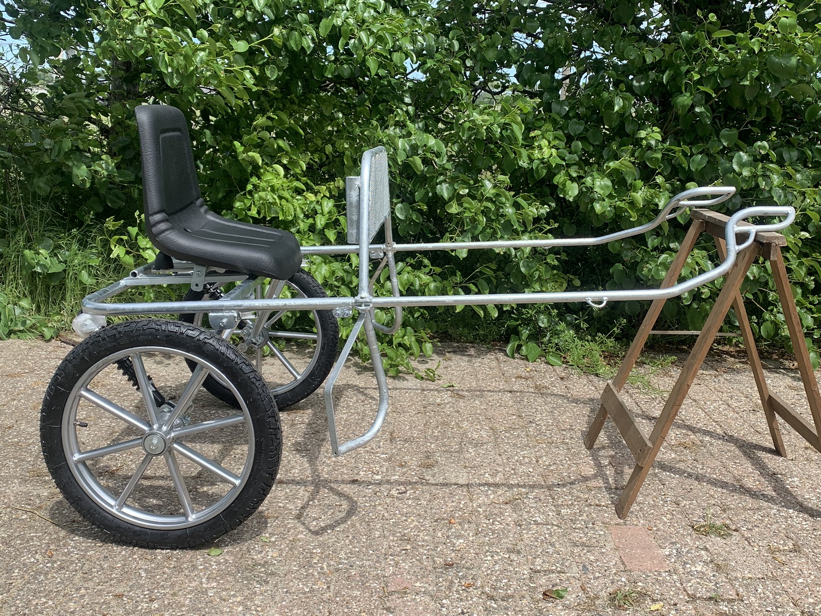 sport buggy/sulky voor mini paardjes | Bokt.nl