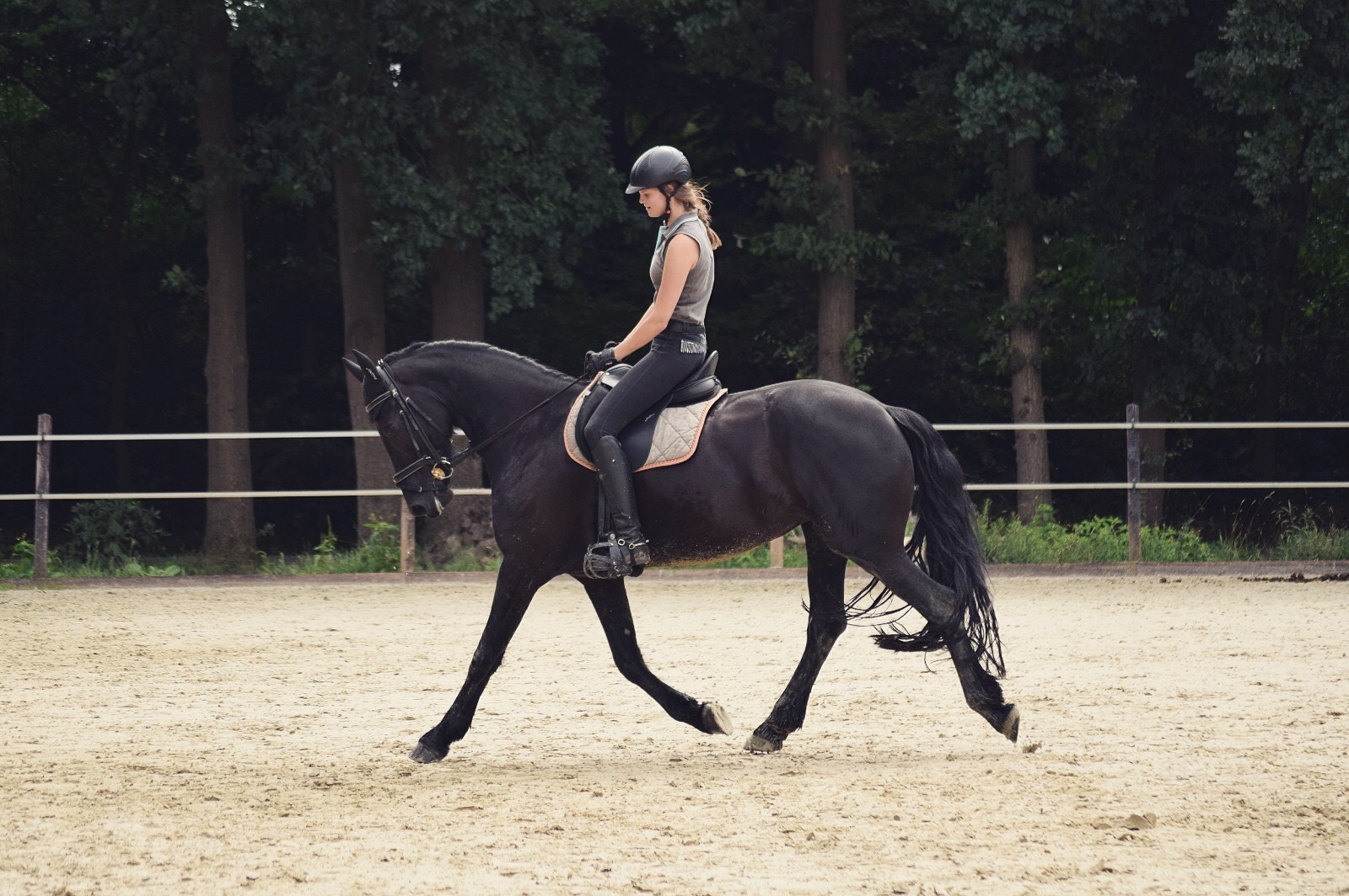 Bijrijdster gezocht voor Arabo-Fries Rika | Bokt.nl