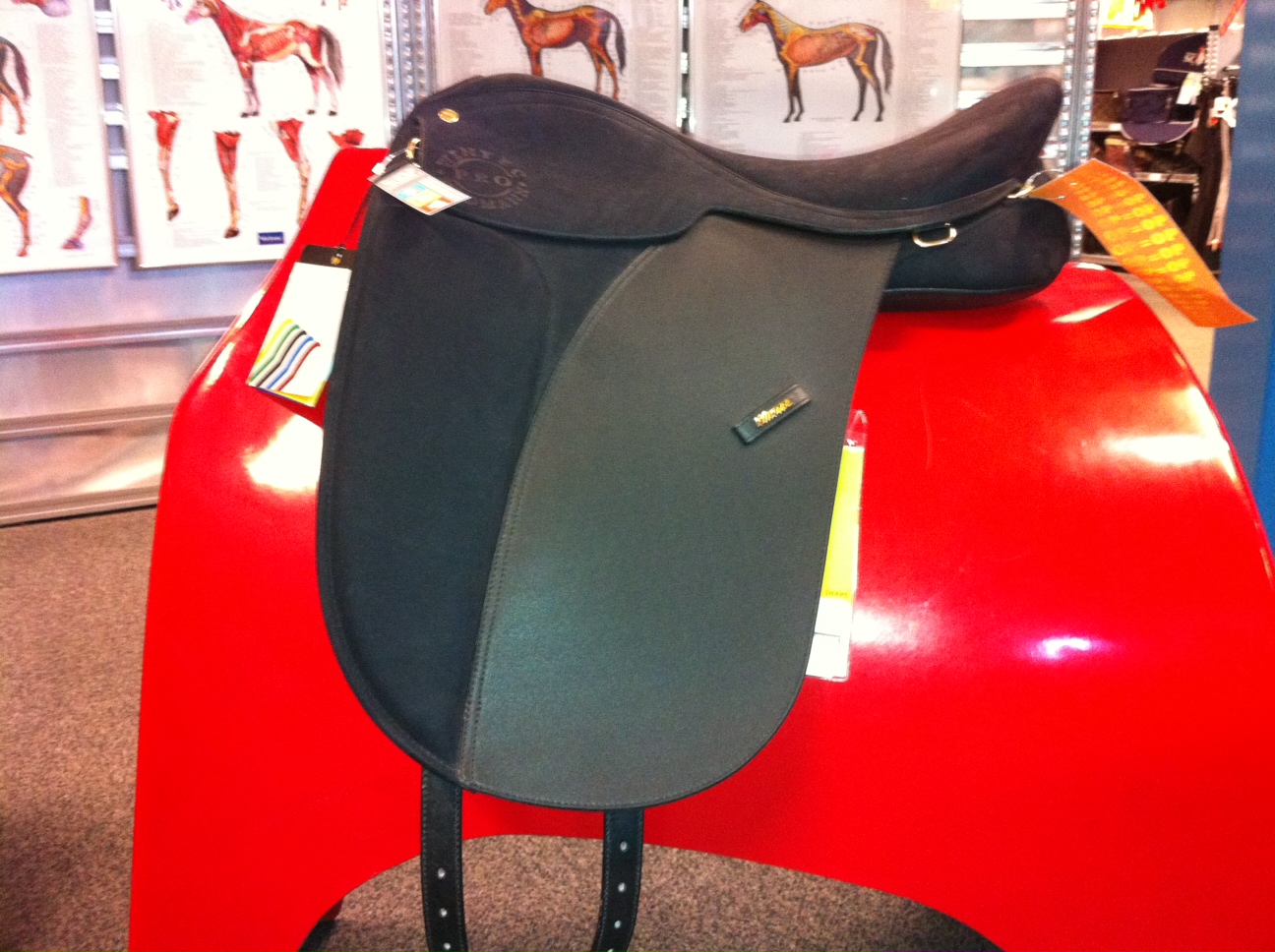 Diverse IJslanderzadels te koop. | Bokt.nl