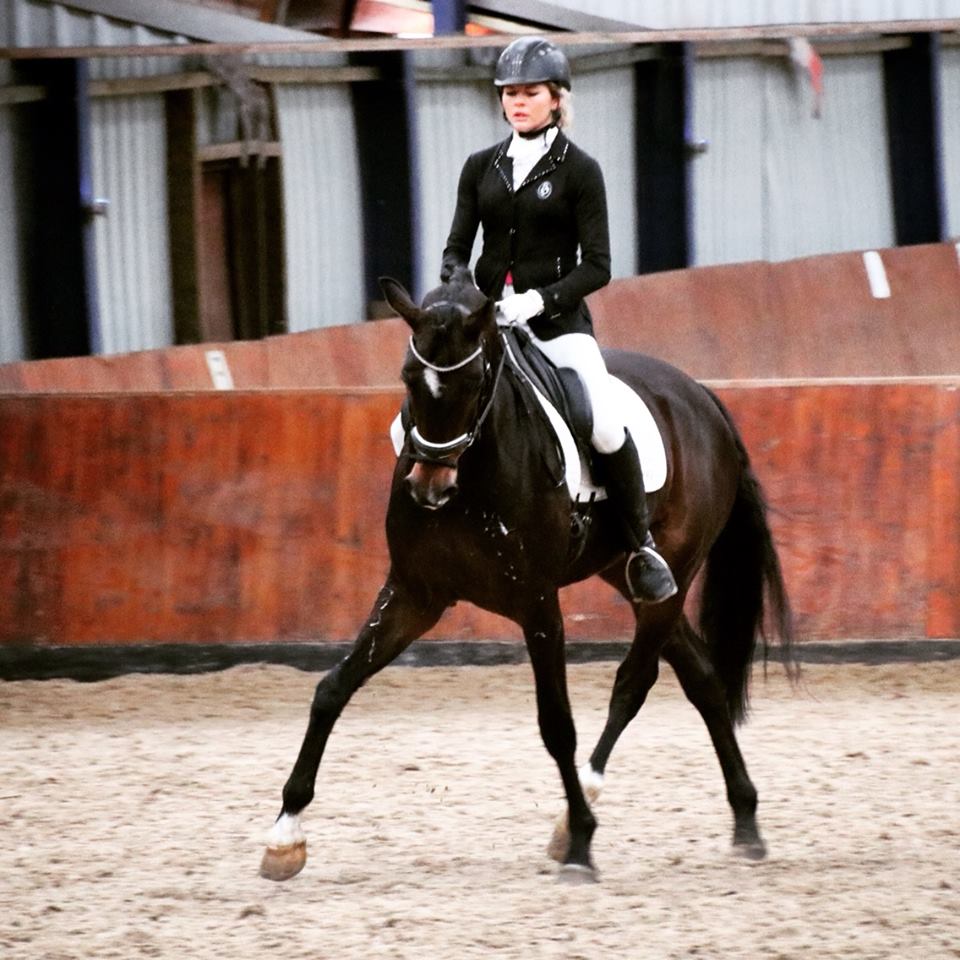 Dressage lessons/ dressuur lessen | Bokt.nl