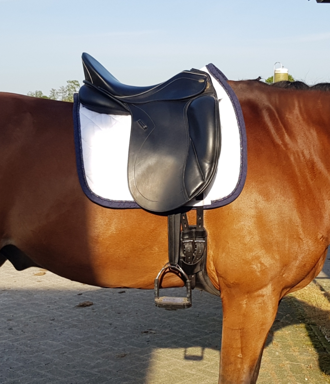 Kentaur Elektra 18 inch fit 2 witte bies, wolgevuld | Bokt.nl