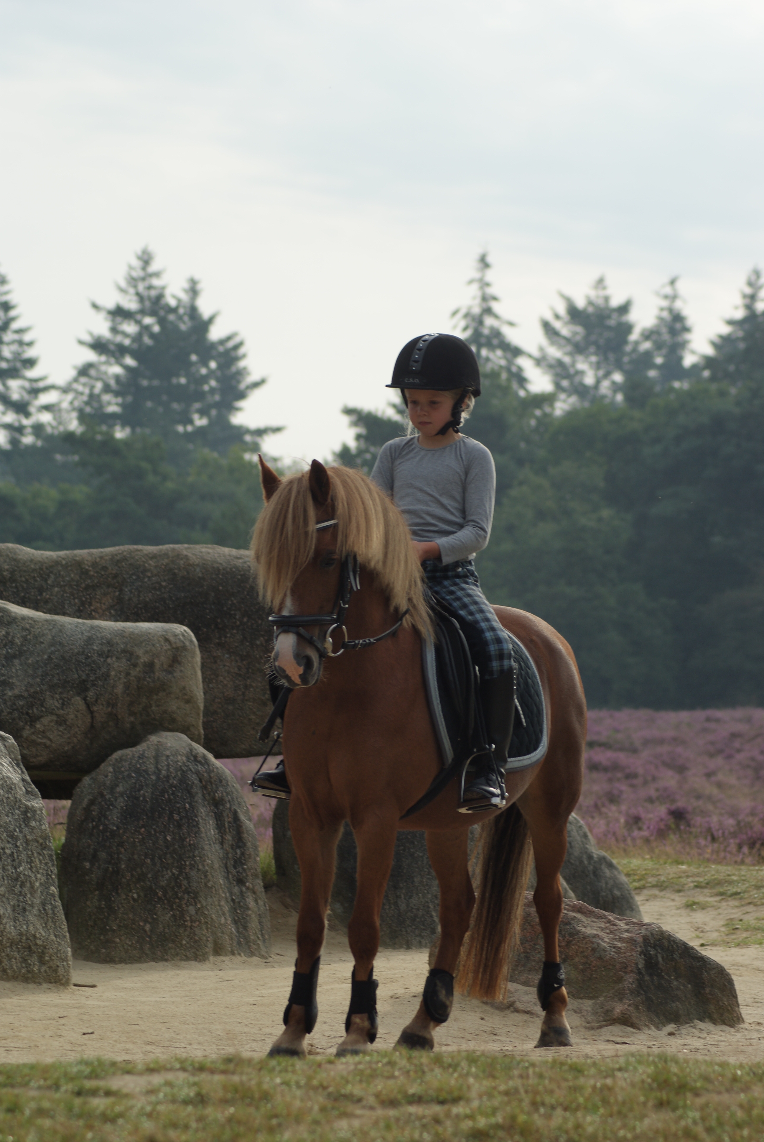 Superstoere allround kinderpony Amber | Bokt.nl