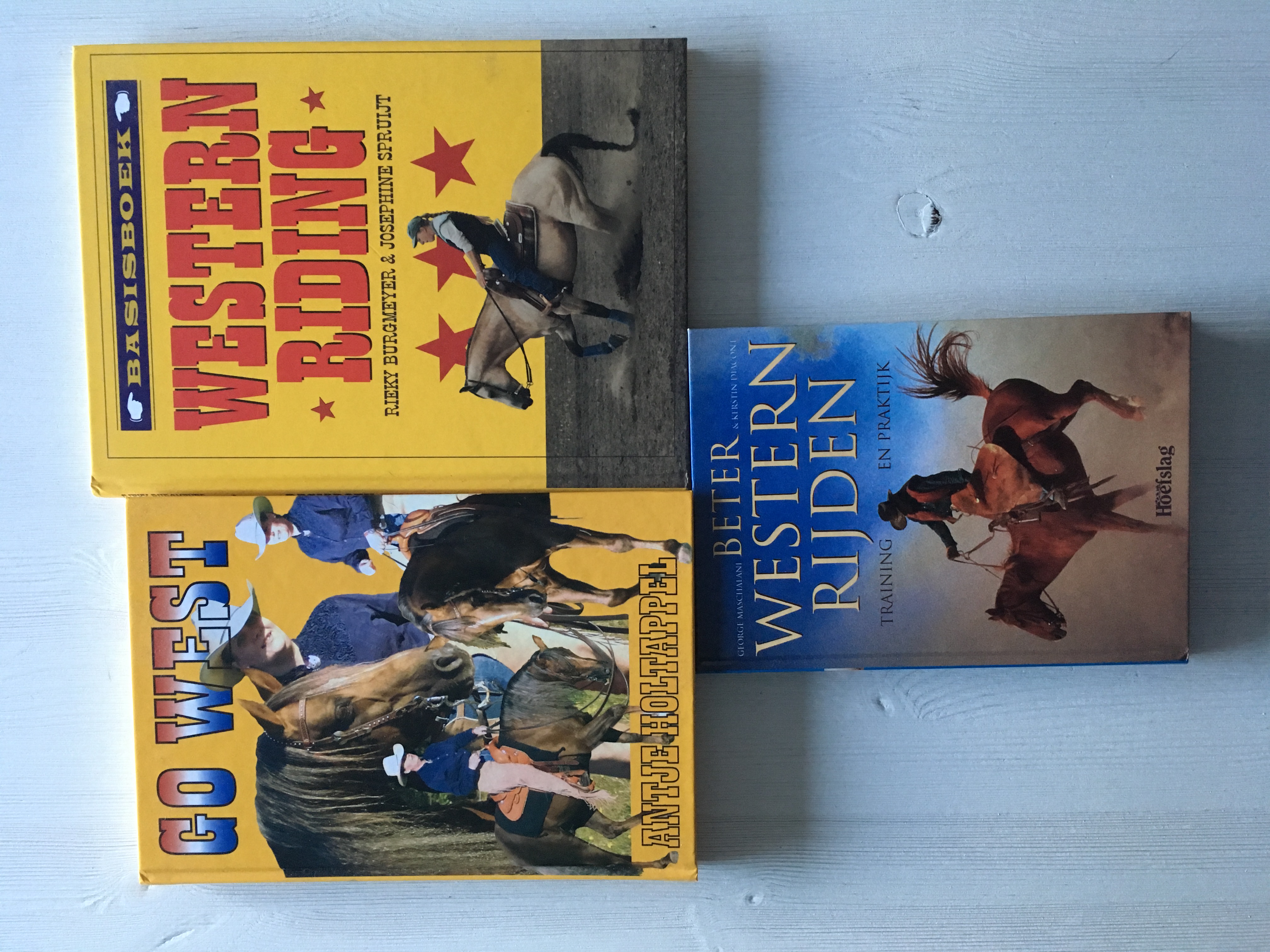 Western riding boeken | Bokt.nl