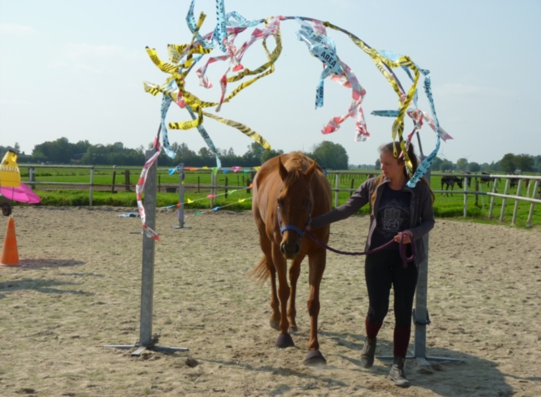 Lieve vos merrie | Bokt.nl