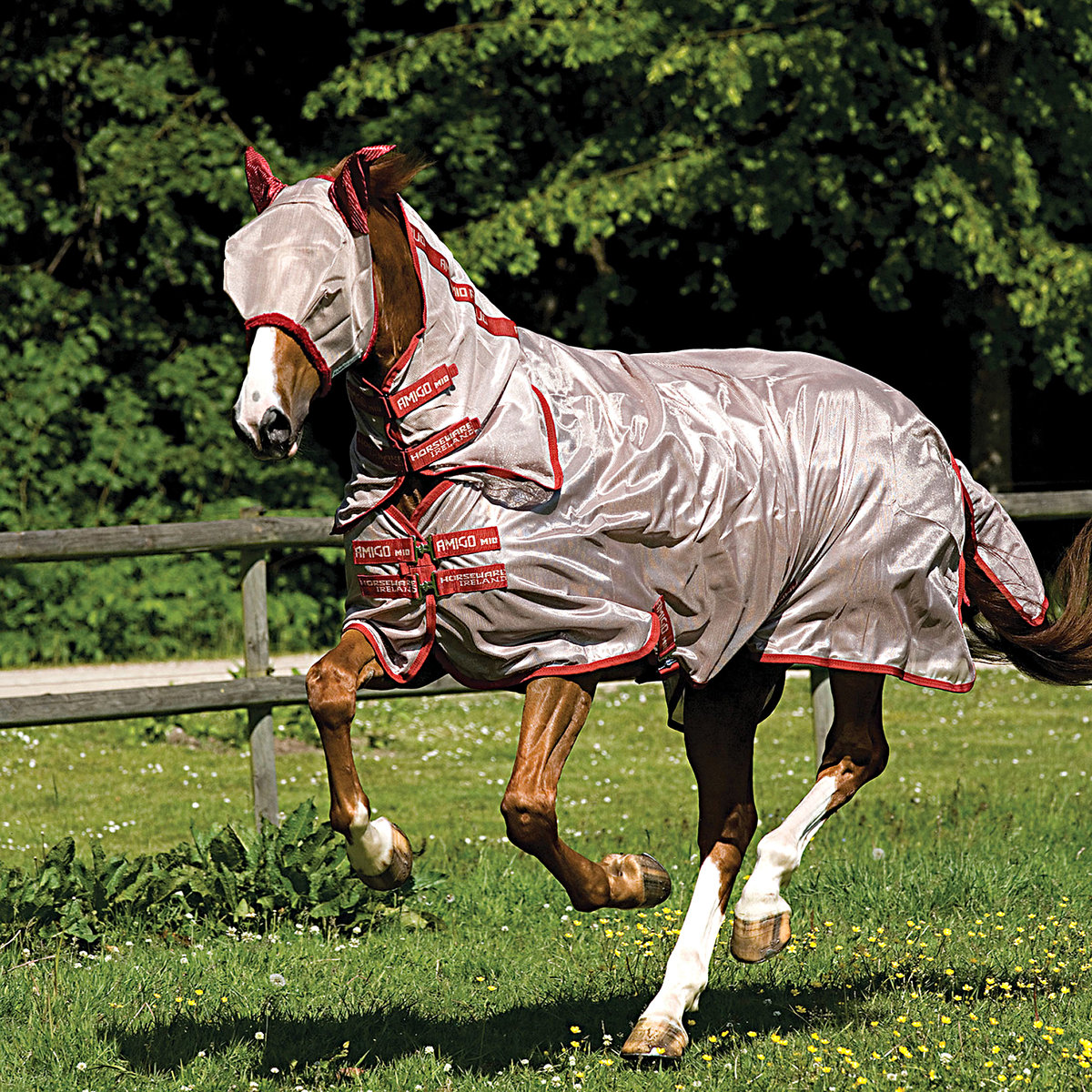 Amigo Mio Fly Rug | Bokt.nl