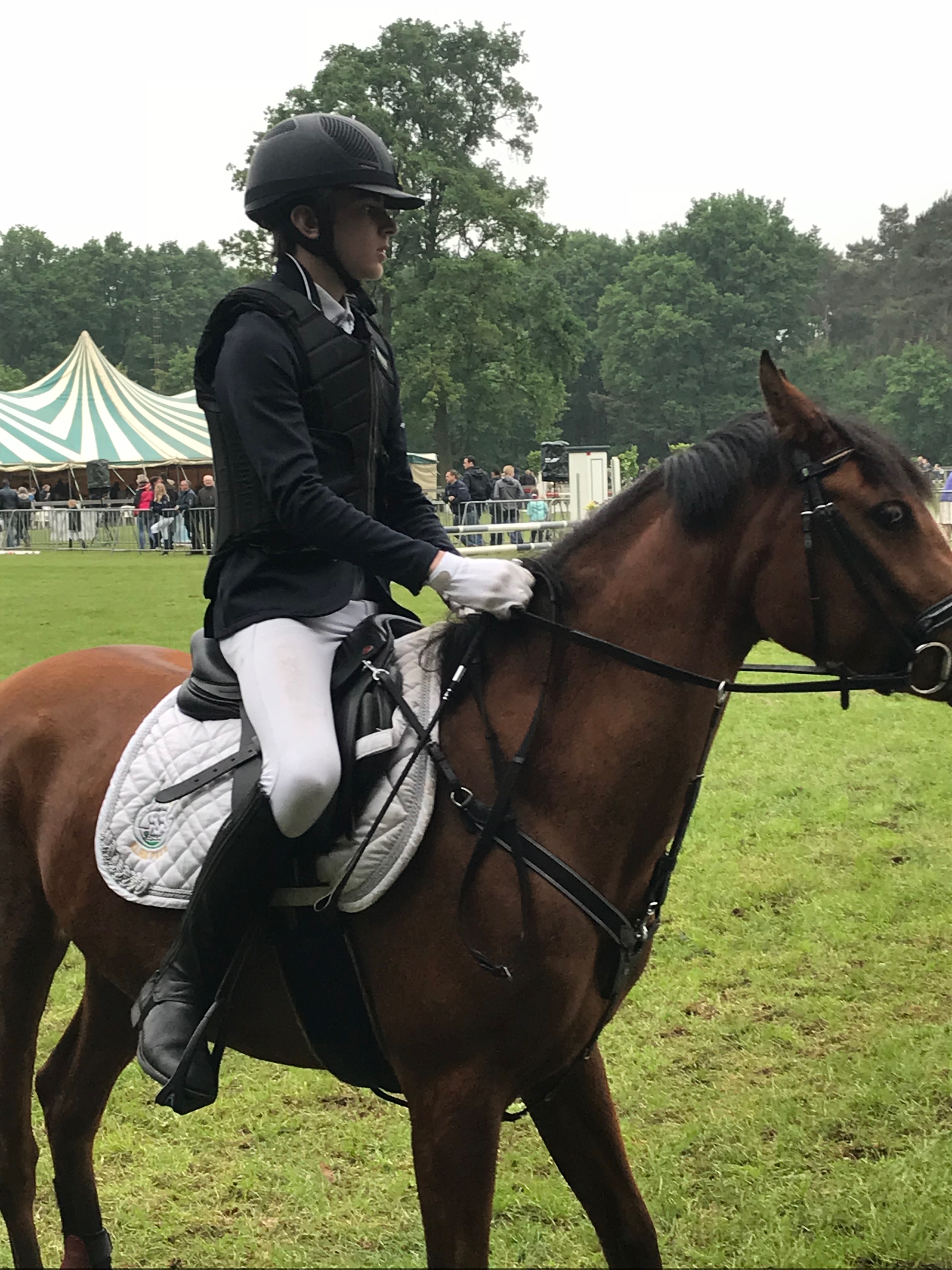 D-PONY TE KOOP | Bokt.nl